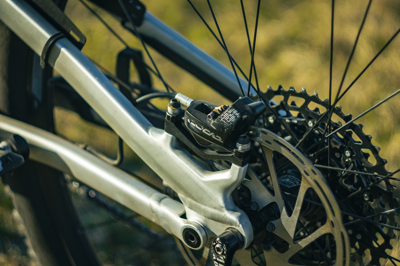 IMG 2443 - Frainbreeze - Mountain Biking Pictures - Vital MTB