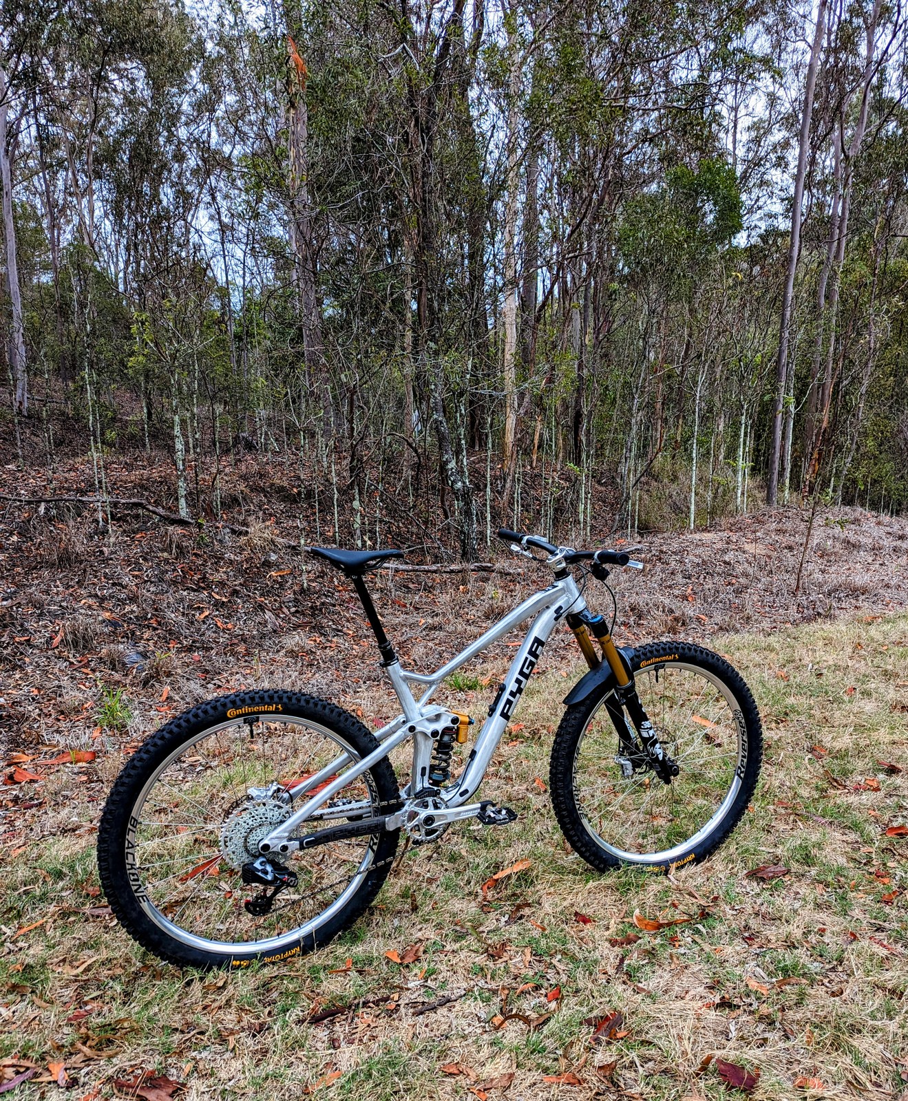 Pyga Hyrax - Bam da Silva's Bike Check - Vital MTB