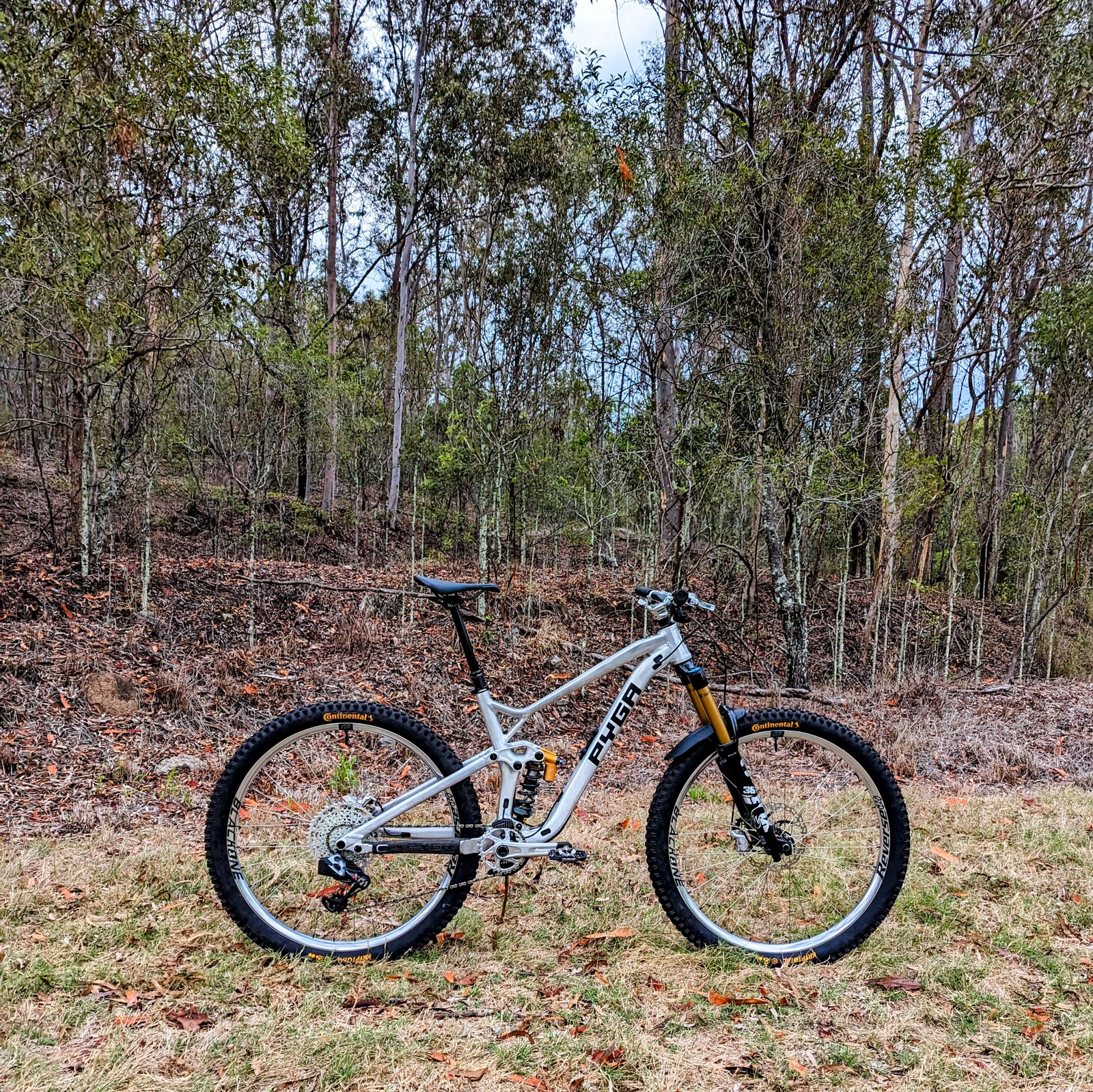 Pyga Hyrax - Bam da Silva's Bike Check - Vital MTB