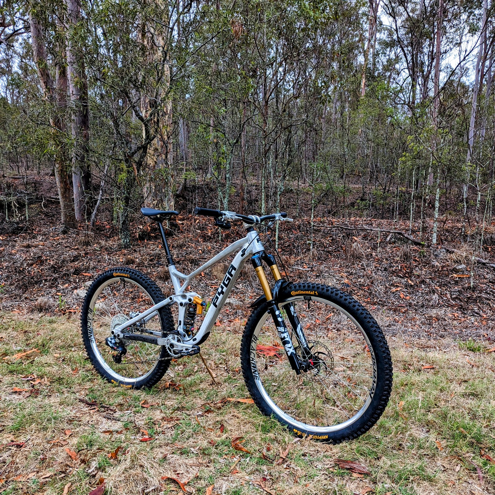 Pyga Hyrax - Bam da Silva's Bike Check - Vital MTB