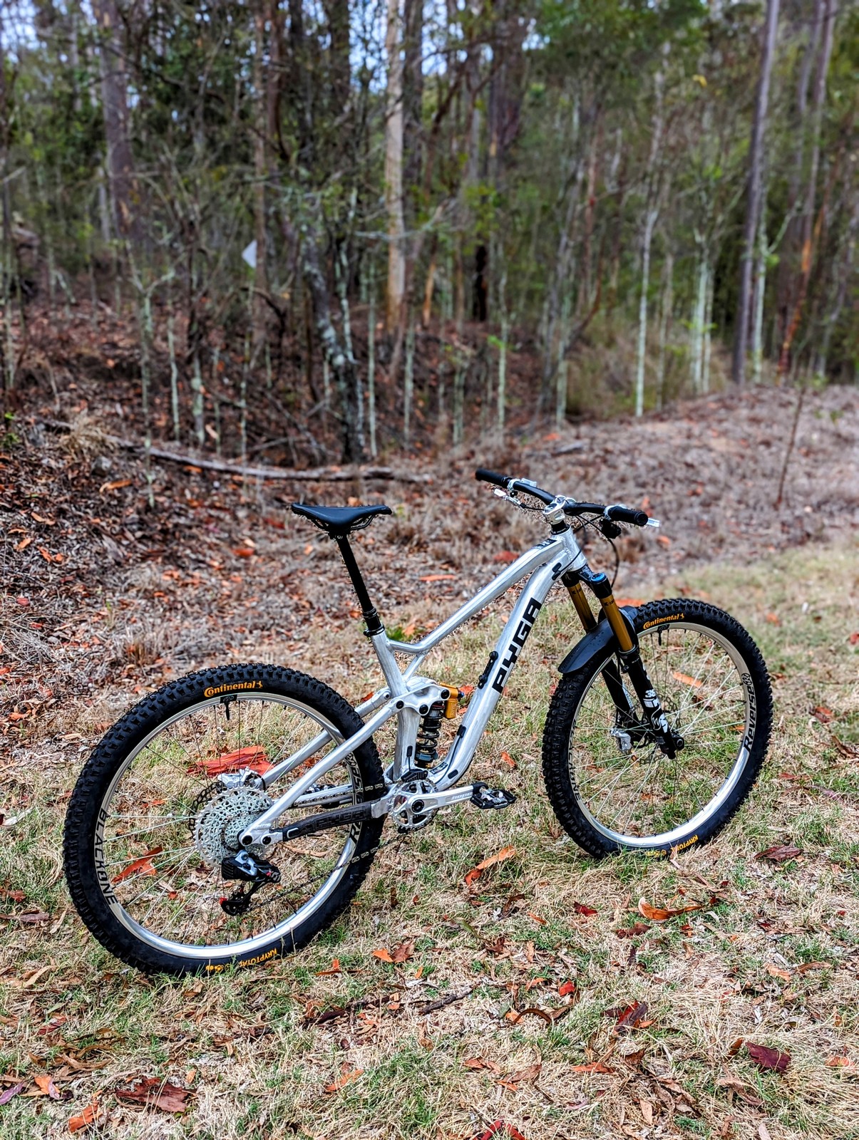 Pyga Hyrax - Bam da Silva's Bike Check - Vital MTB