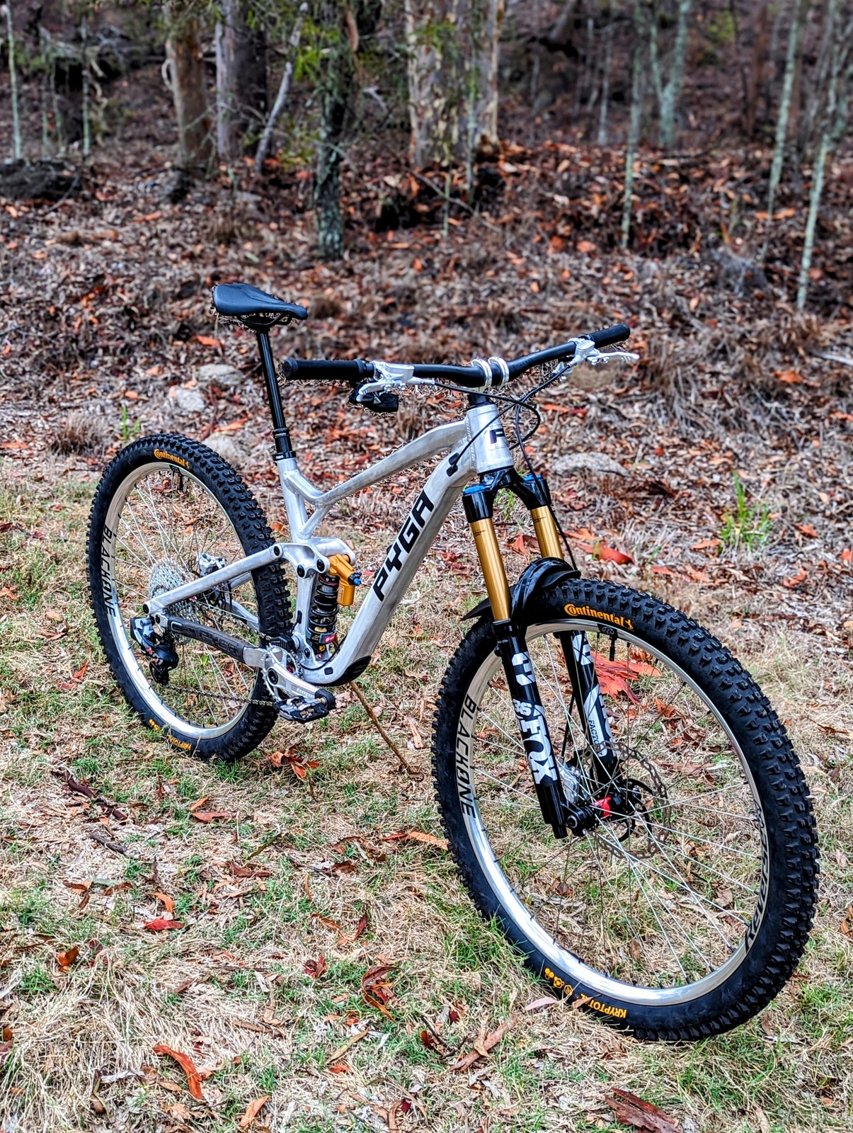 Pyga Hyrax - Bam da Silva's Bike Check - Vital MTB