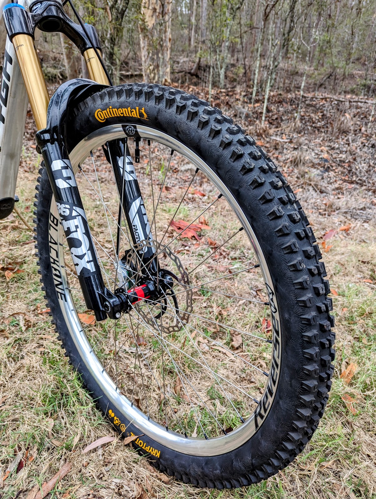 Pyga Hyrax - Bam da Silva's Bike Check - Vital MTB