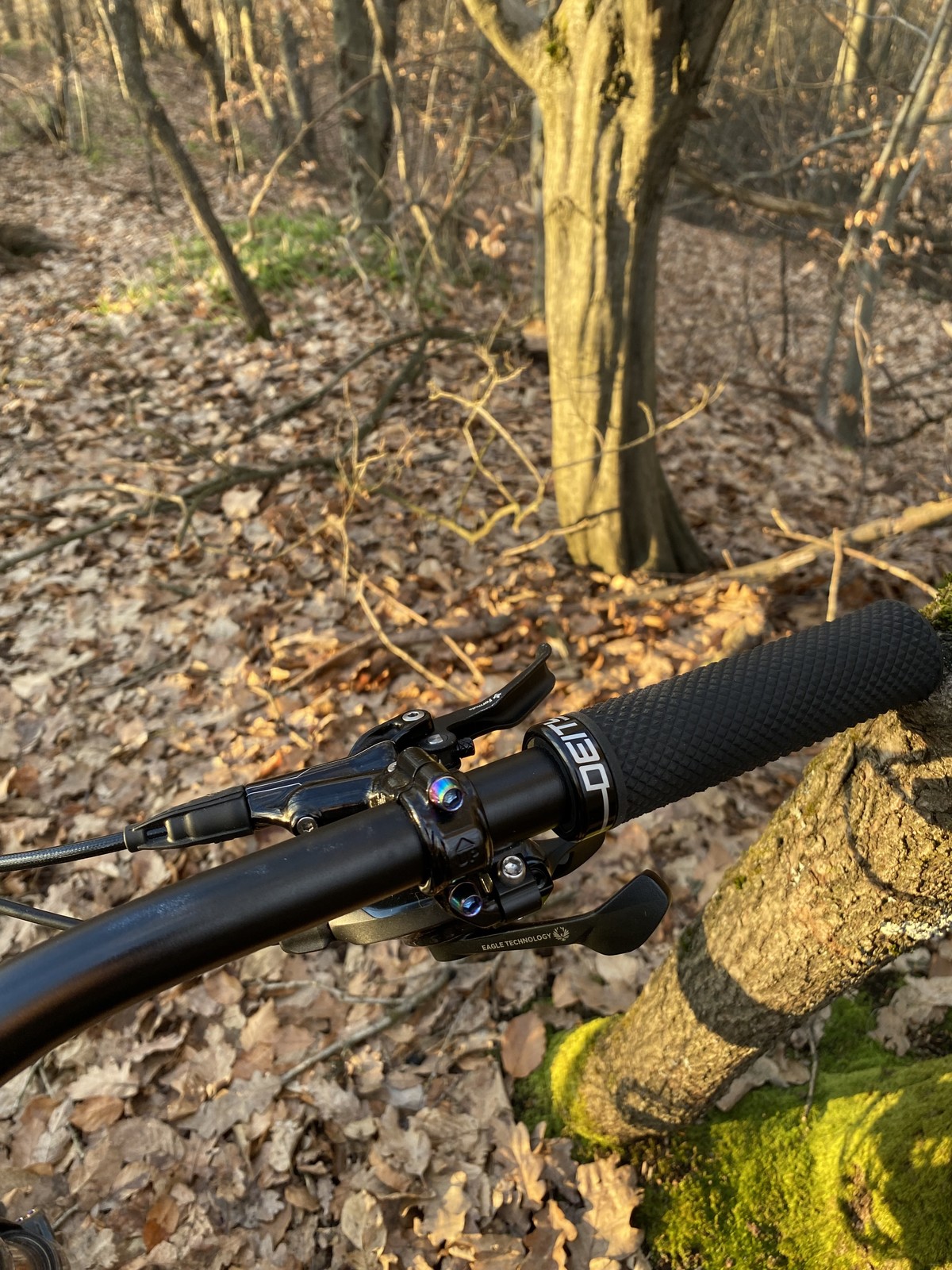 Evil Insurgent V3 - Sly42's Bike Check - Vital MTB