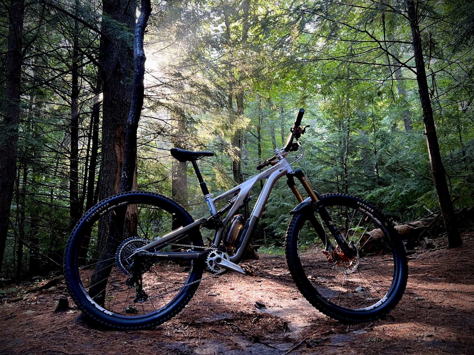 2022 Specialized Stumpy EVO Elite Alloy, Celebrate Aluminum! - 1poorVW ...