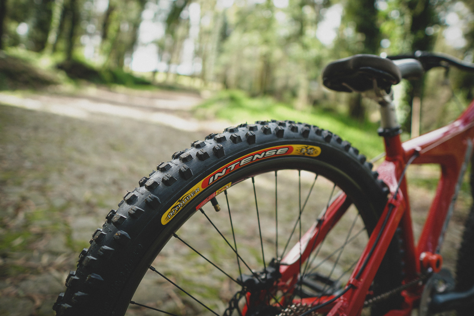 Intense Tazer Ht - simãoferreira's Bike Check - Vital MTB