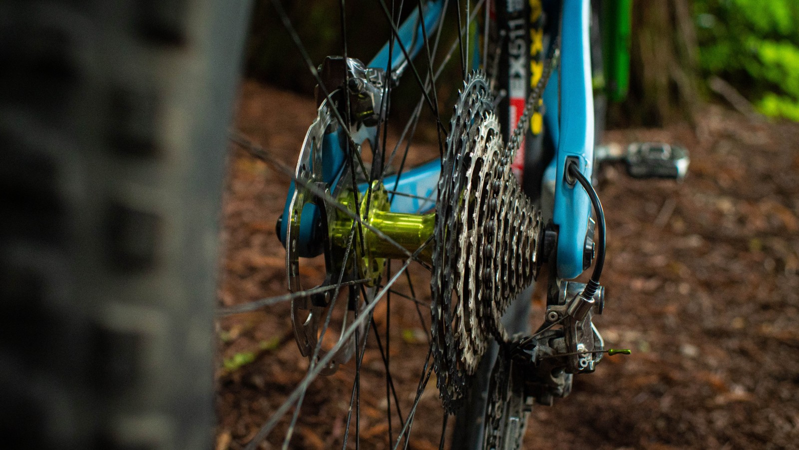 DEVIATE Highlander 150 - cadefarrant's Bike Check - Vital MTB