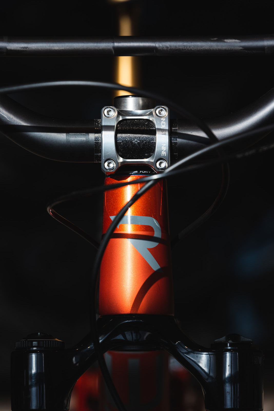 Revel Rail 27.5 Dream Build - haleyengels's Bike Check - Vital MTB