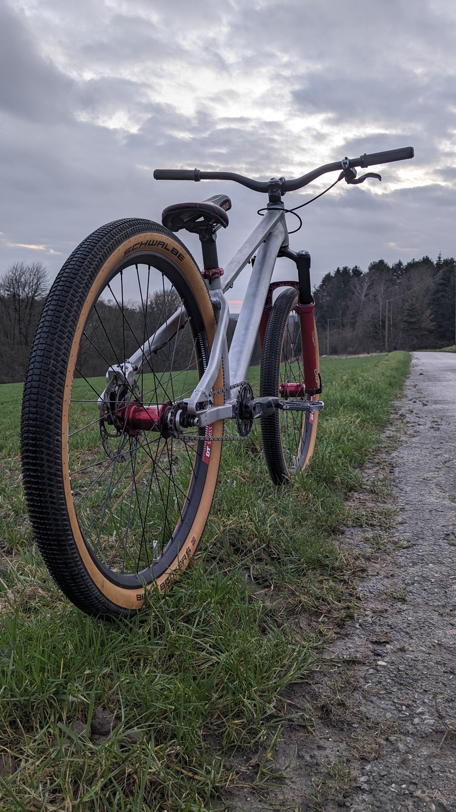 Rose the Bruce 2 Custom - eavenkastgen's Bike Check - Vital MTB