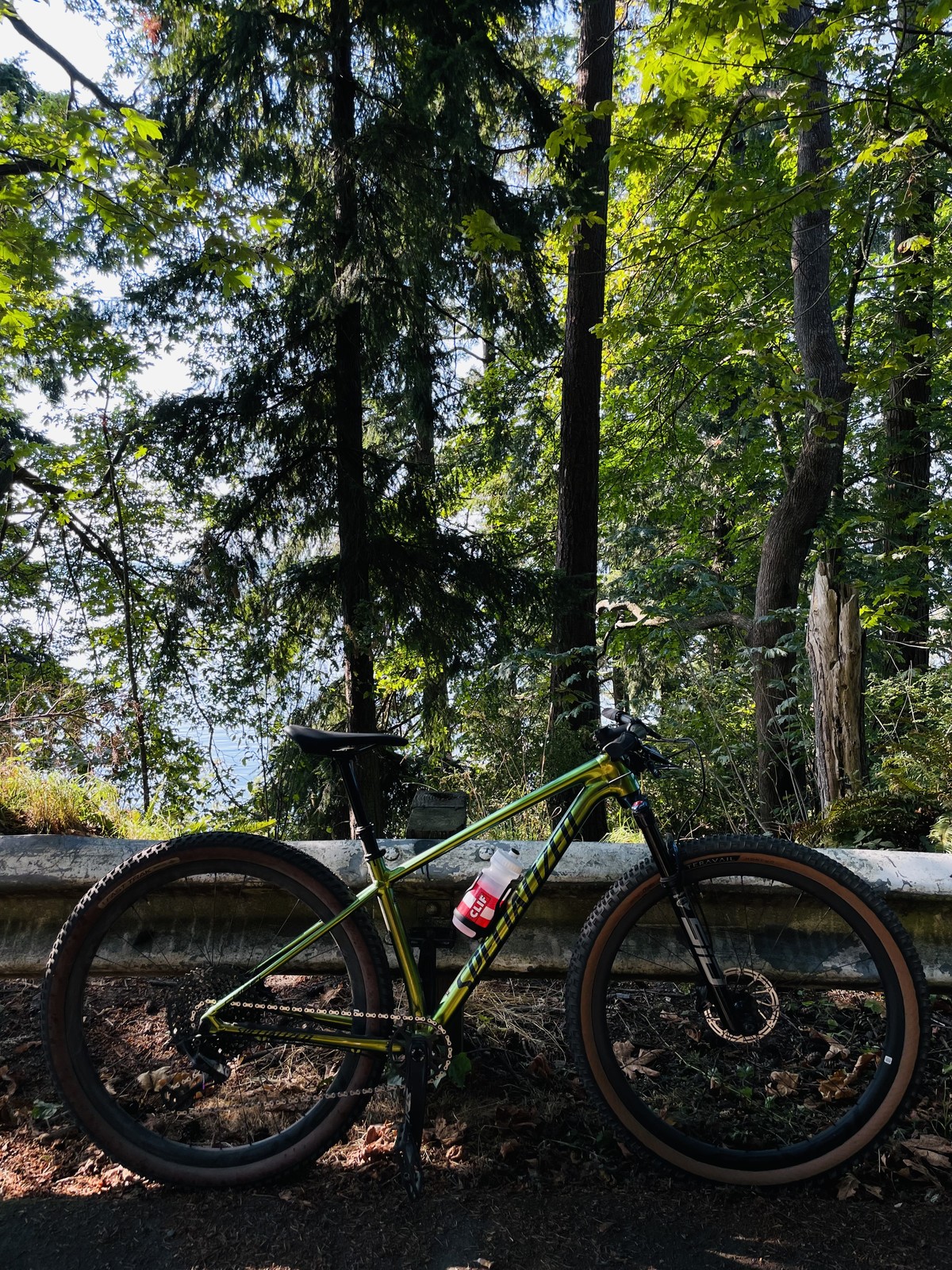 Custom Specialized Chisel - Hulk - FoughnutLover's Bike Check - Vital MTB