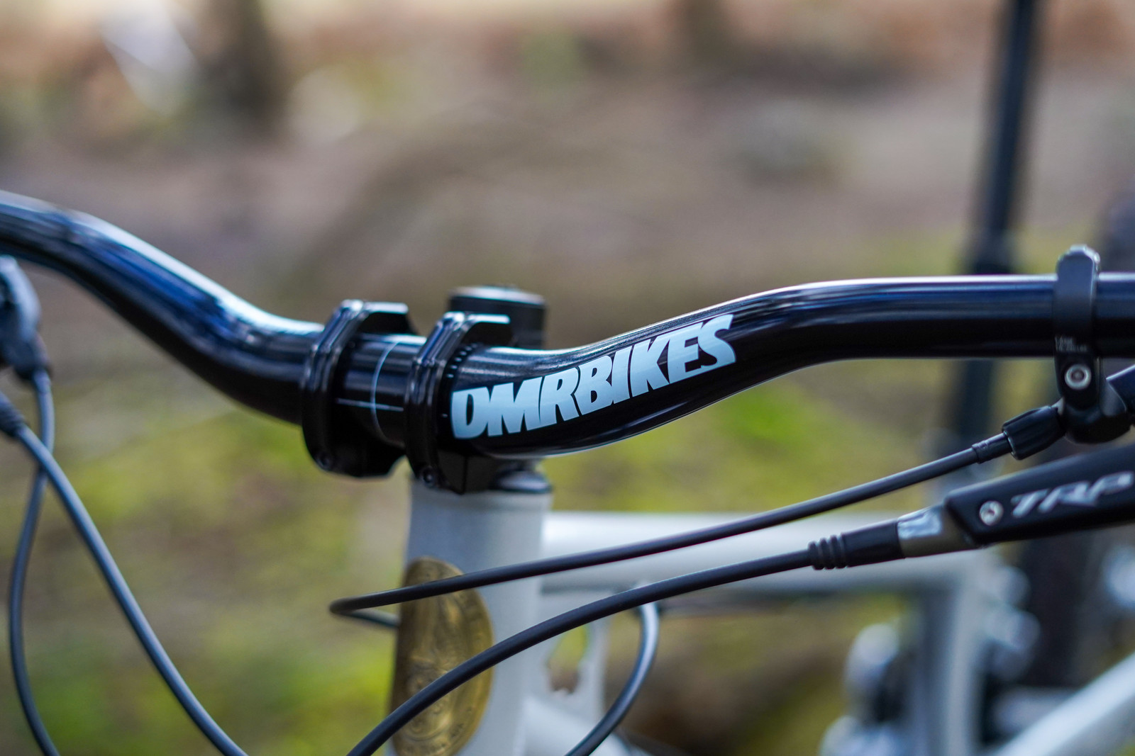 Steve Geall's Tora EVH 160 - dmrbikes's Bike Check - Vital MTB