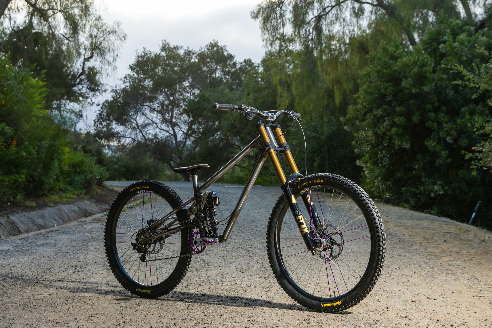 DH Vessel - Vessel_bike_project's Bike Check - Vital MTB