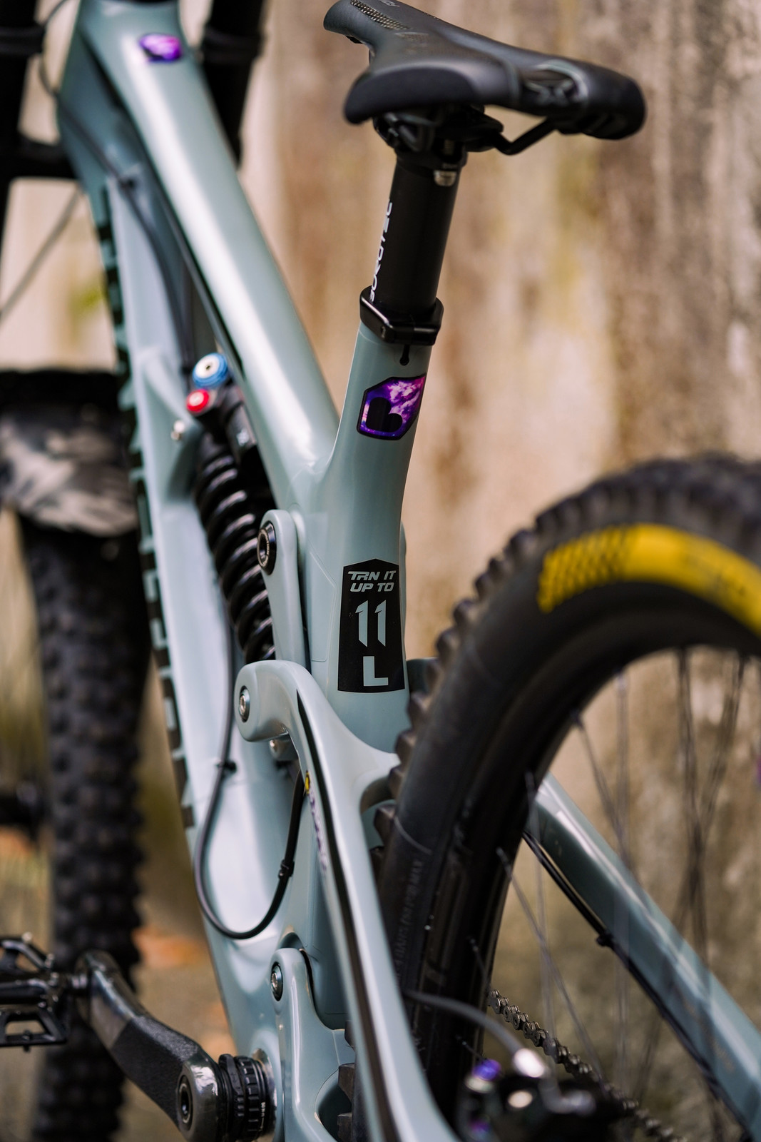 Transition TR11 🫧 Build - Tumbi's Bike Check - Vital MTB