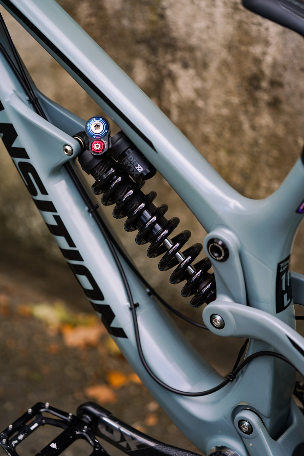 Transition TR11 🫧 Build - Tumbi's Bike Check - Vital MTB