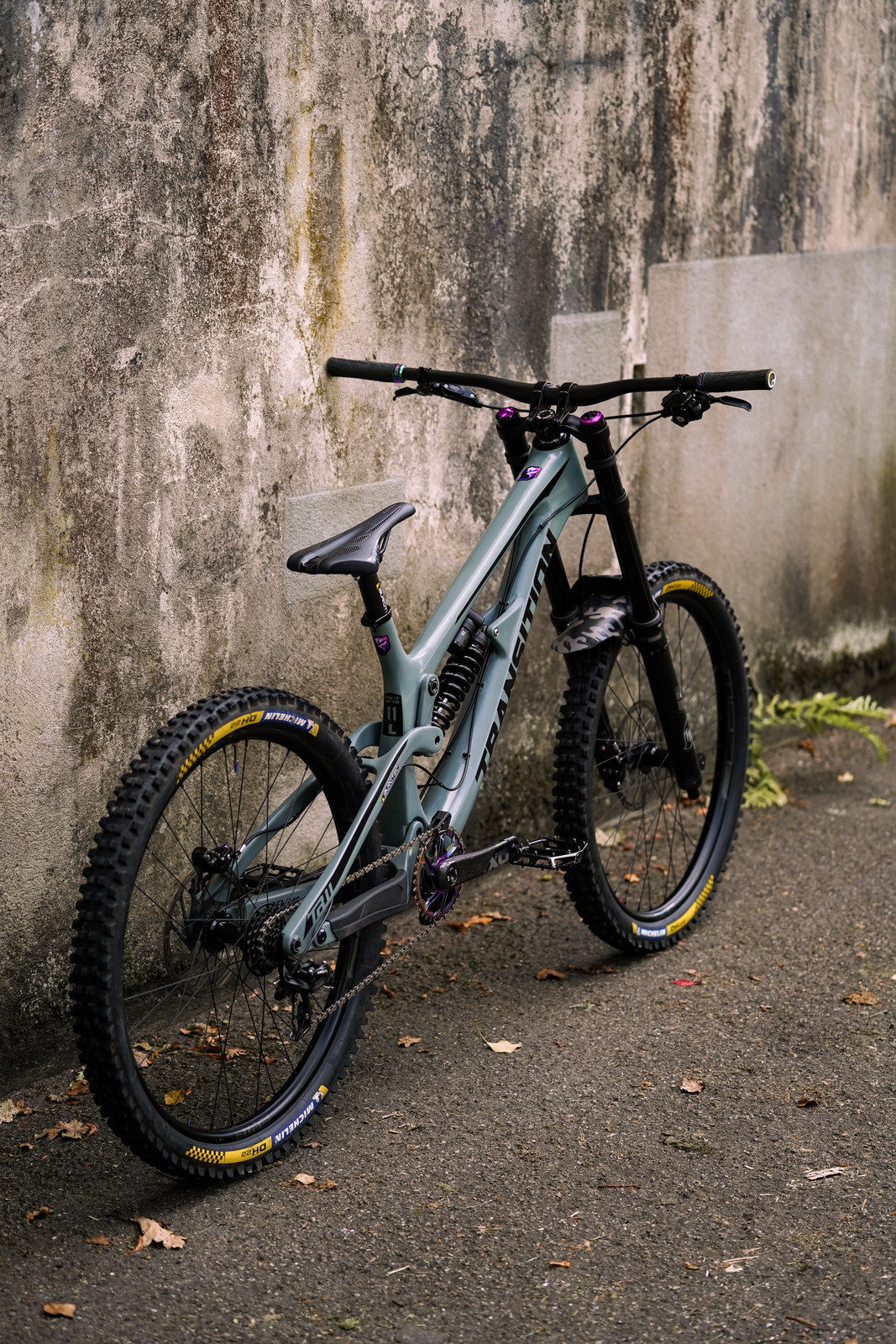 Transition TR11 🫧 Build - Tumbi's Bike Check - Vital MTB