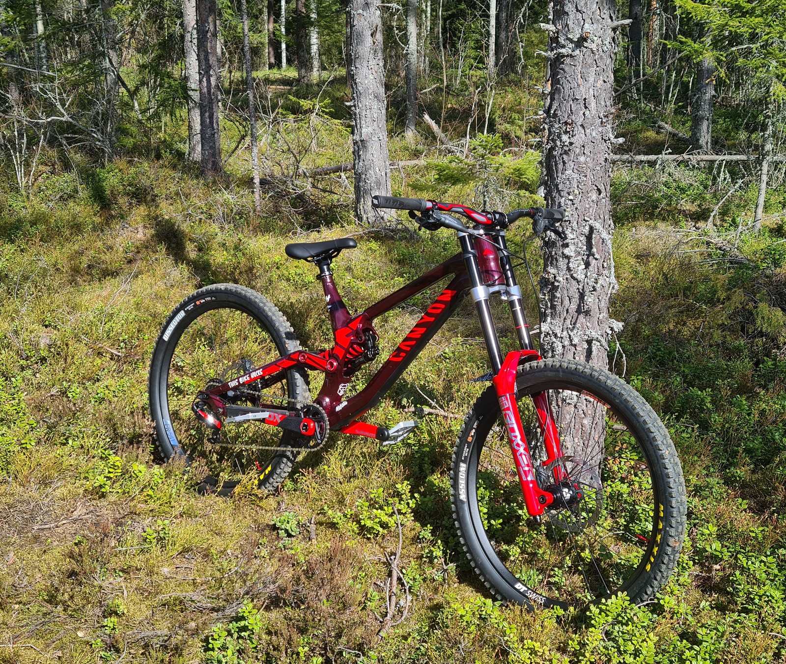 Canyon sender AL Custom Build - freeridefreak's Bike Check - Vital MTB