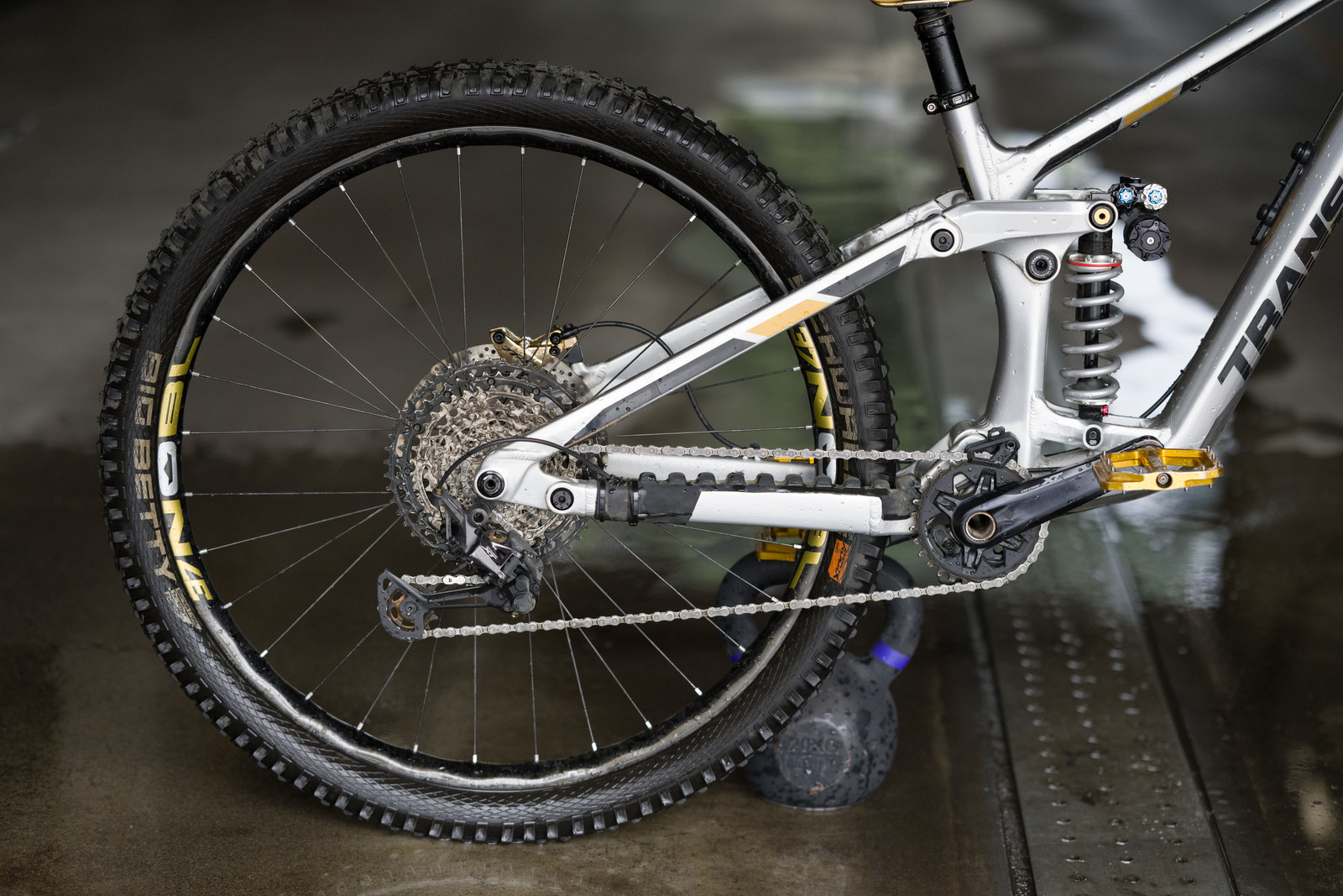 Silver N Gold Spire - coleneves's Bike Check - Vital MTB