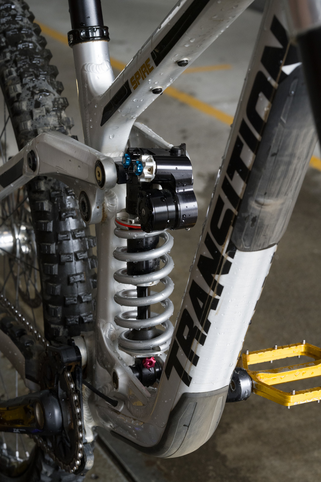 Silver N Gold Spire - coleneves's Bike Check - Vital MTB