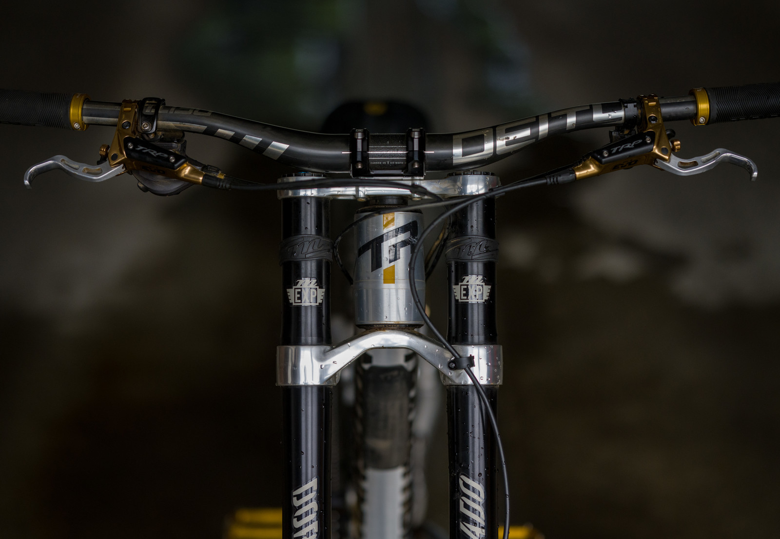 Silver N Gold Spire - coleneves's Bike Check - Vital MTB