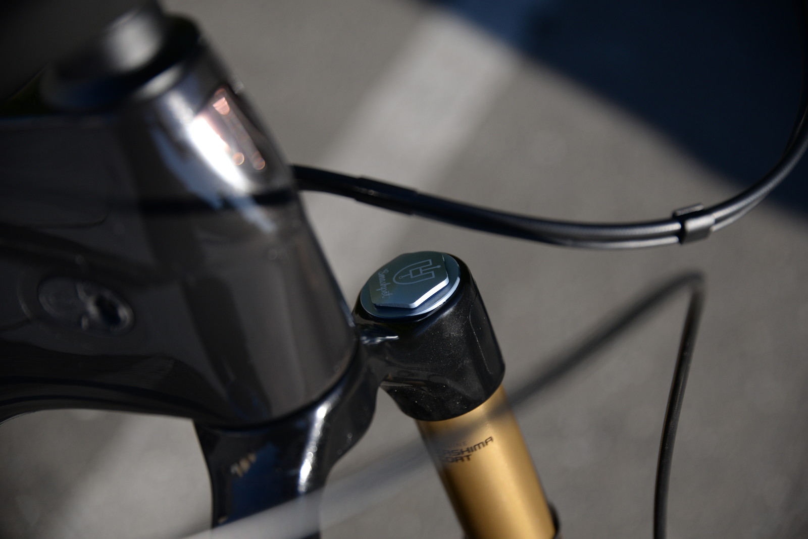 Trek EXe Mullet Custom Build - paultaft's Bike Check - Vital MTB