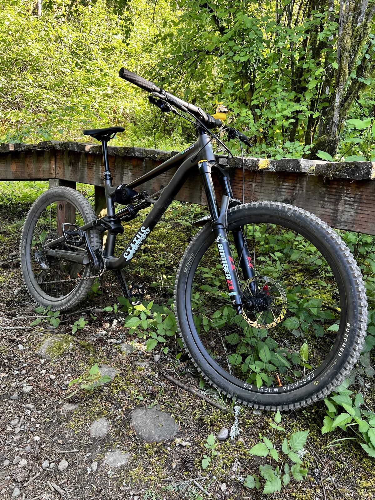 Specialized Status 160 - SouthSoundrider's Bike Check - Vital MTB