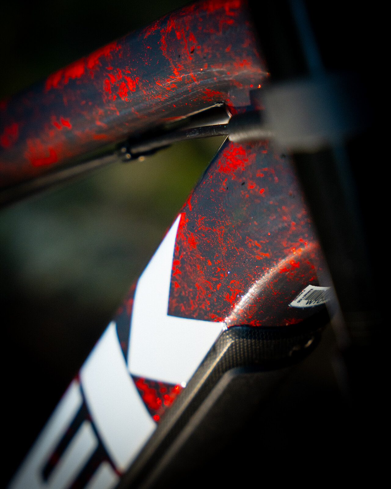 Custom painted Trek session - Fine Tune Cycles's Bike Check - Vital MTB