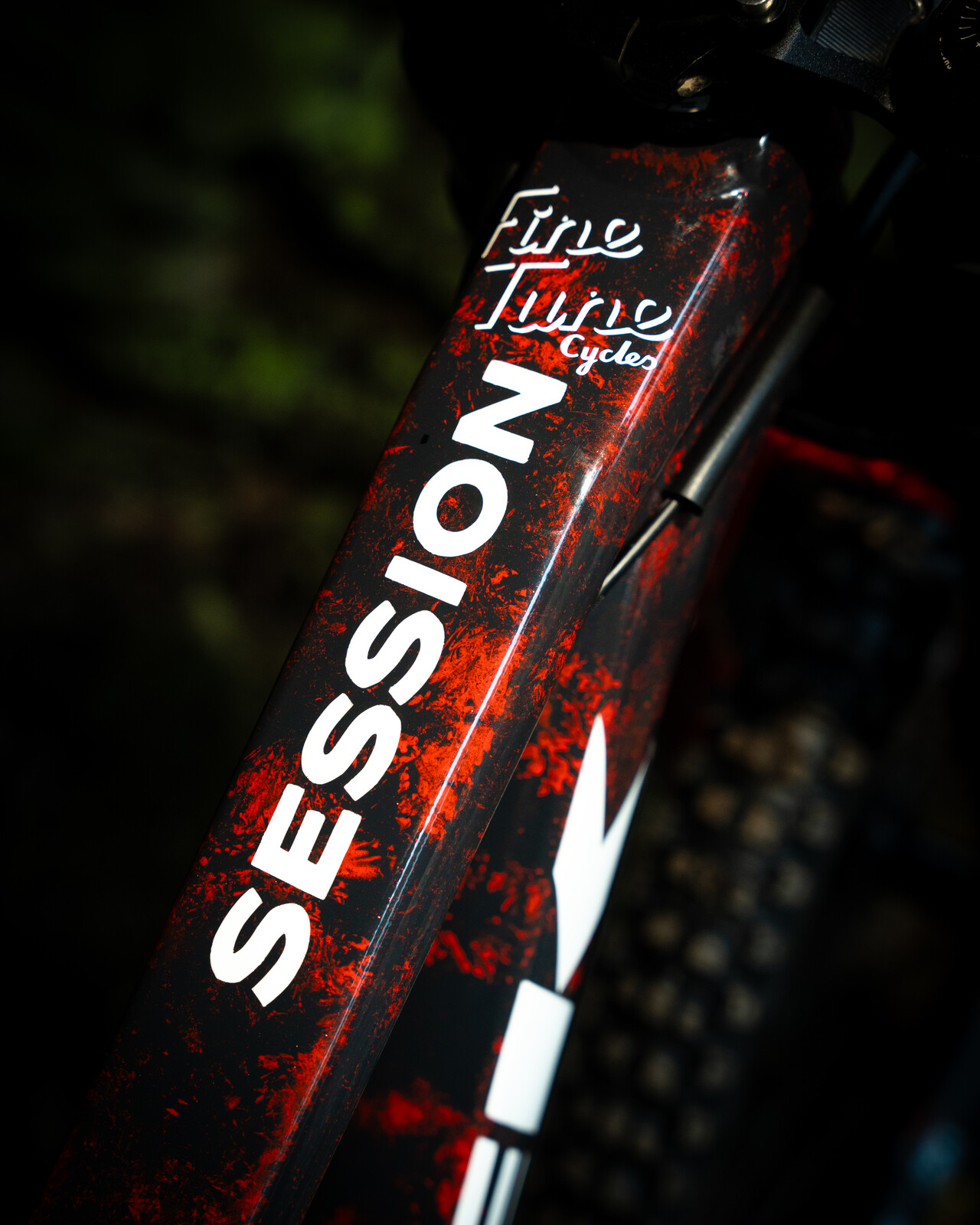 Custom painted Trek session - Fine Tune Cycles's Bike Check - Vital MTB