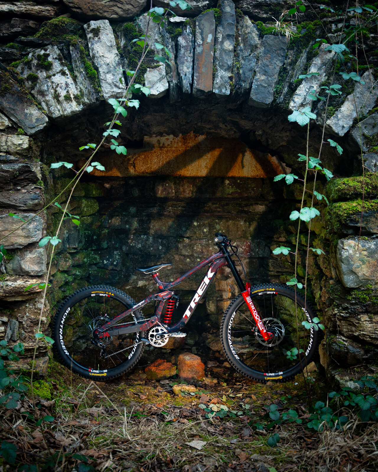 Custom painted Trek session - Fine Tune Cycles's Bike Check - Vital MTB