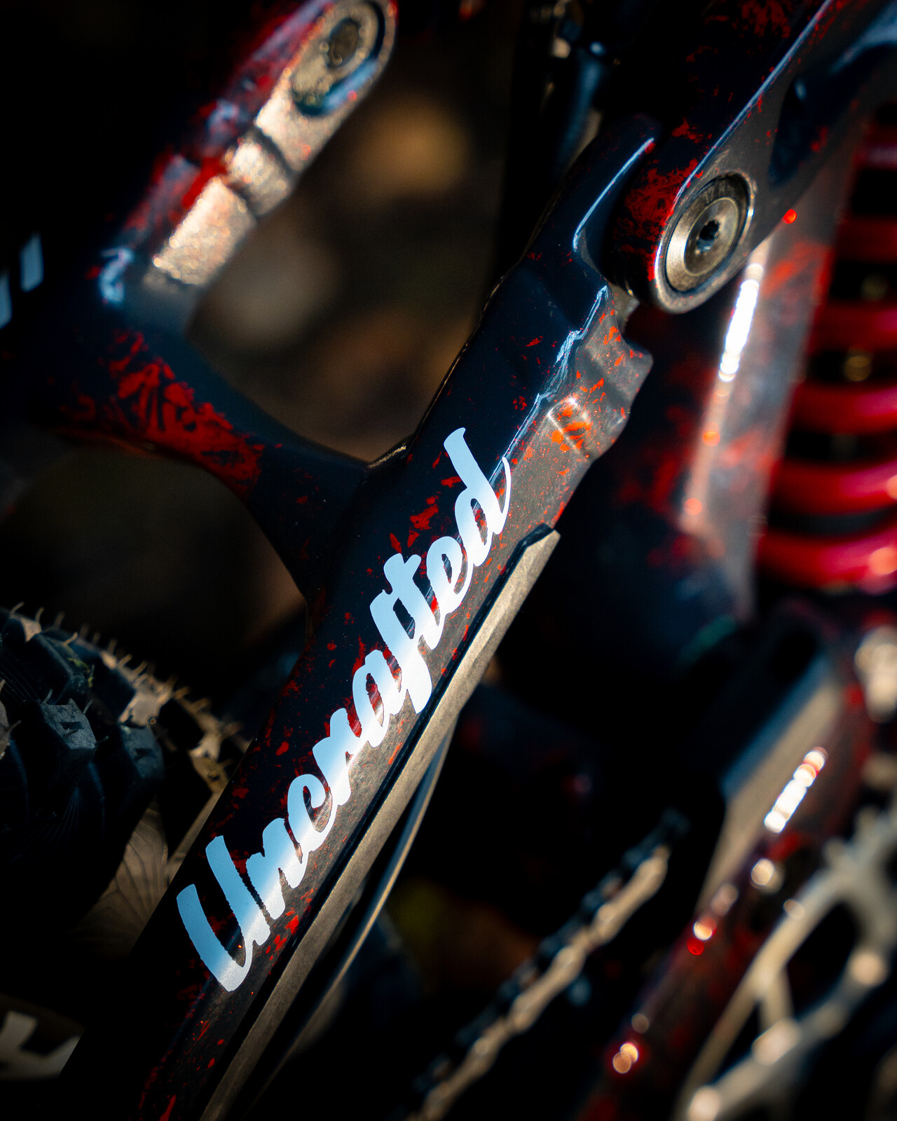 Custom painted Trek session - Fine Tune Cycles's Bike Check - Vital MTB