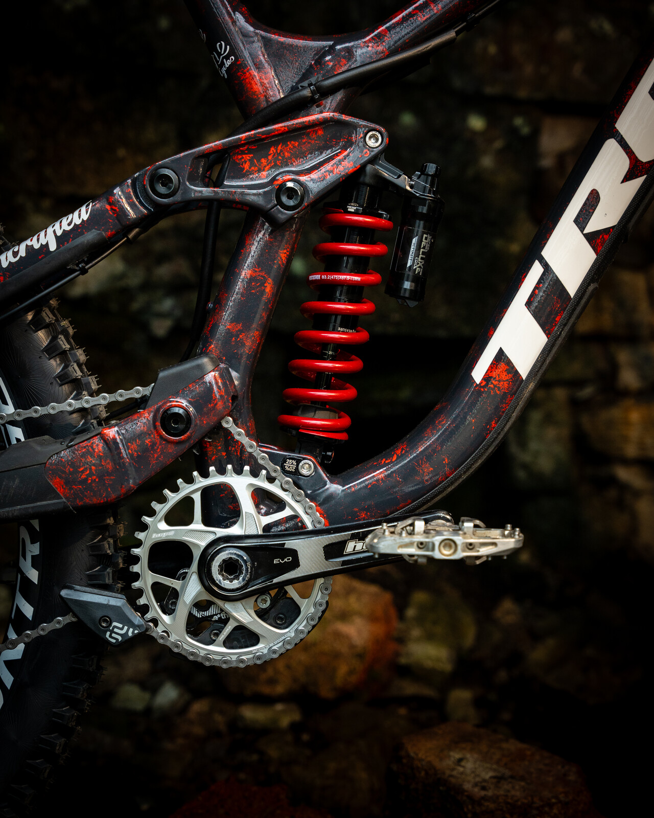 Custom painted Trek session - Fine Tune Cycles's Bike Check - Vital MTB