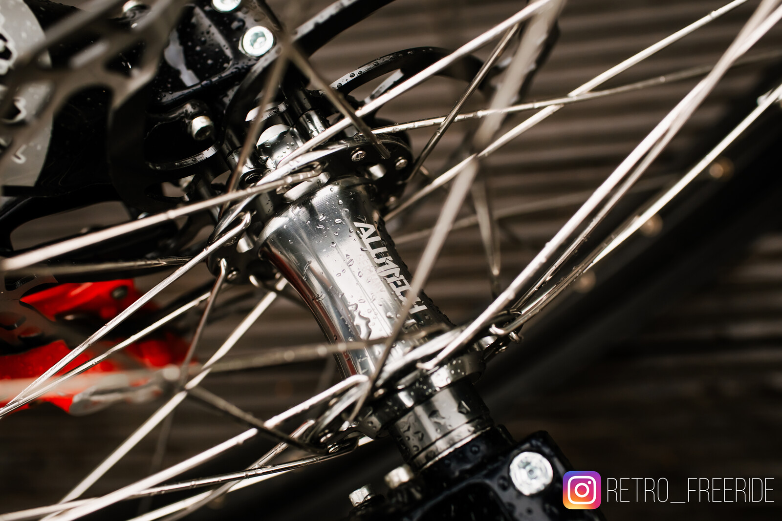 24 Bicycles Po#n King with Marzocchi Shiver DC 2002 - retro_freeride's ...