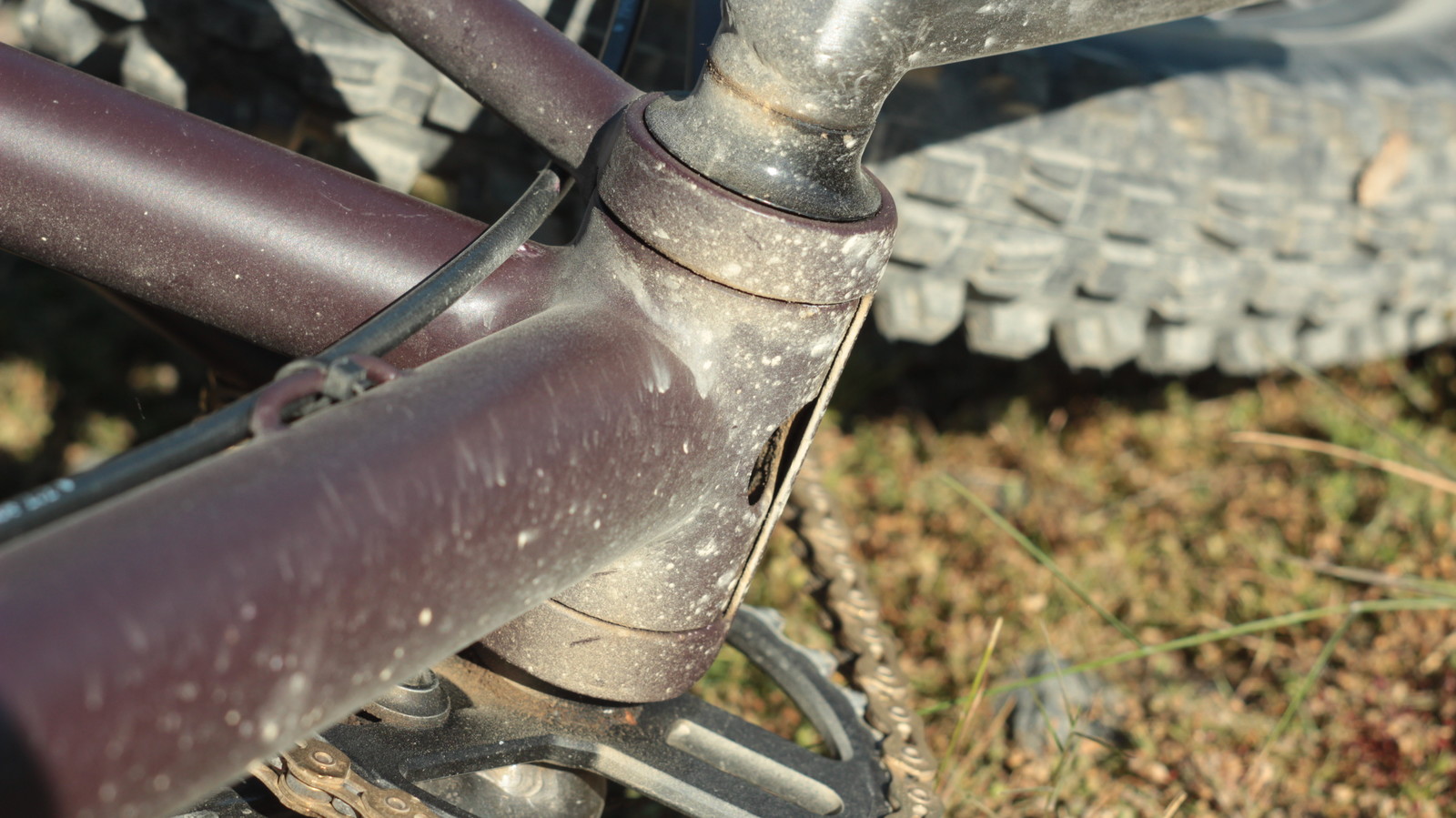 Downhill BMX - johannordberg's Bike Check - Vital MTB