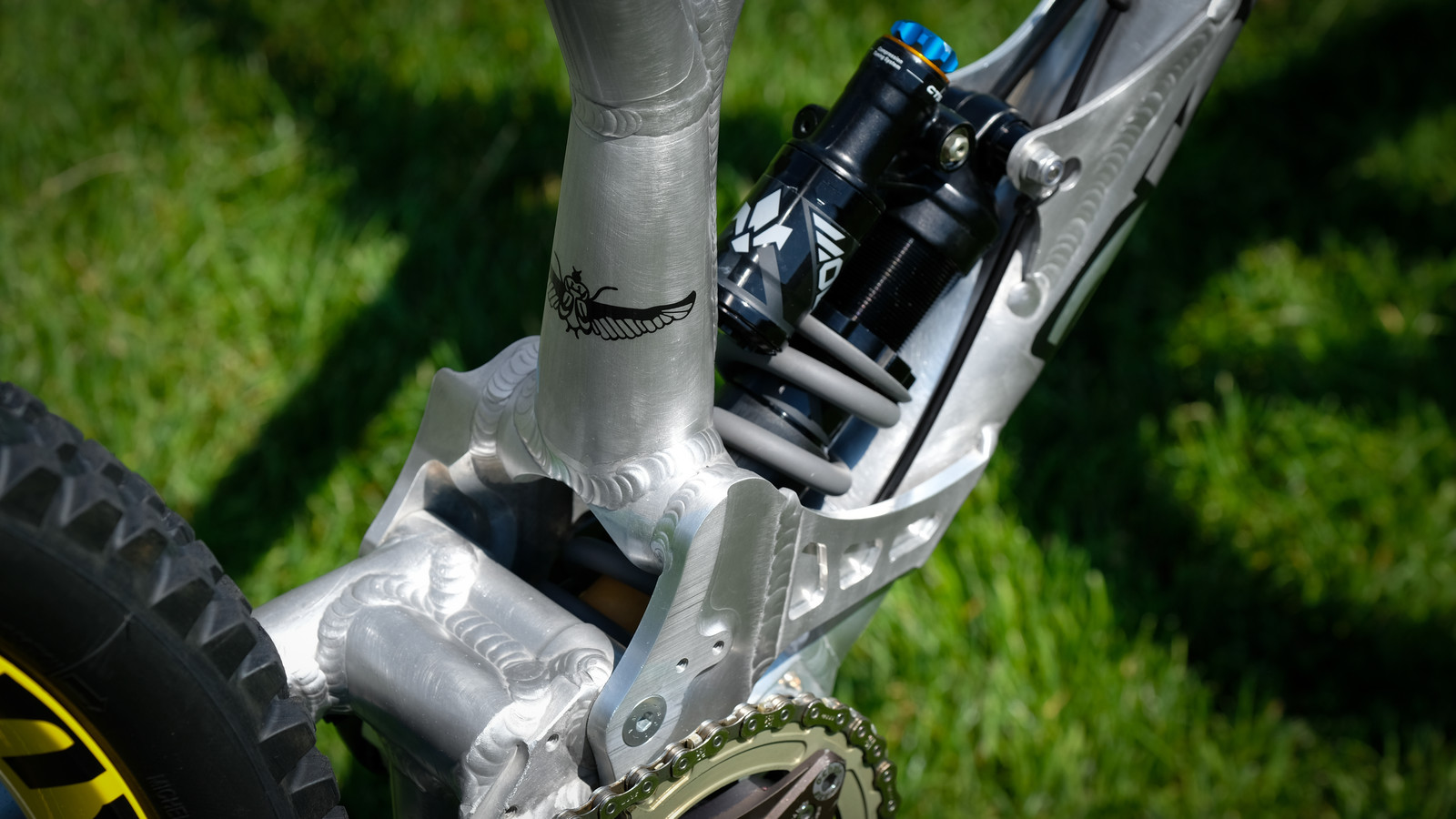 Ancillotti Scarab DH 2024 - NINI Adventure's Bike Check - Vital MTB