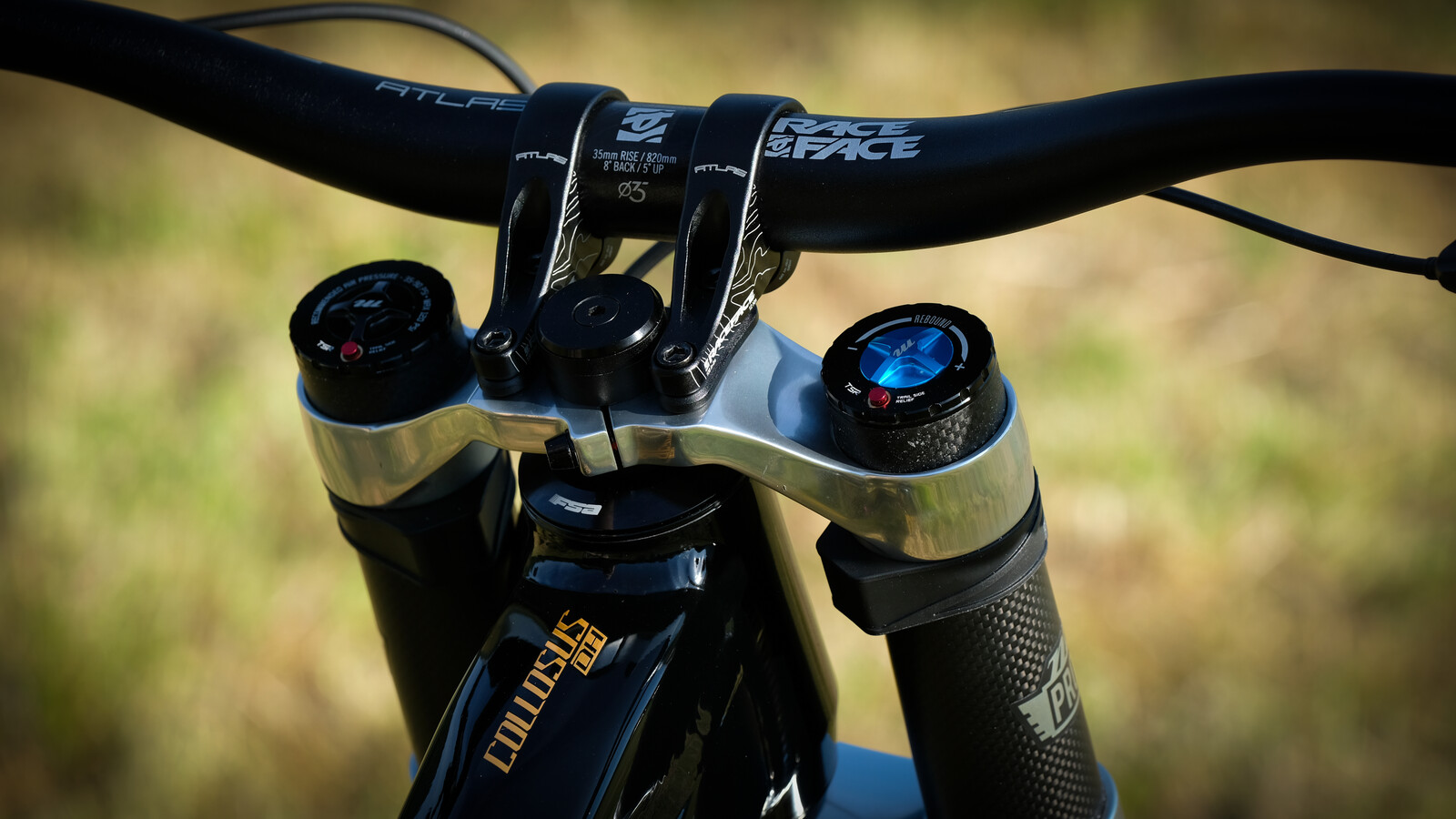 POLYGON Collosus DH7 Custom - NINI Adventure's Bike Check - Vital MTB