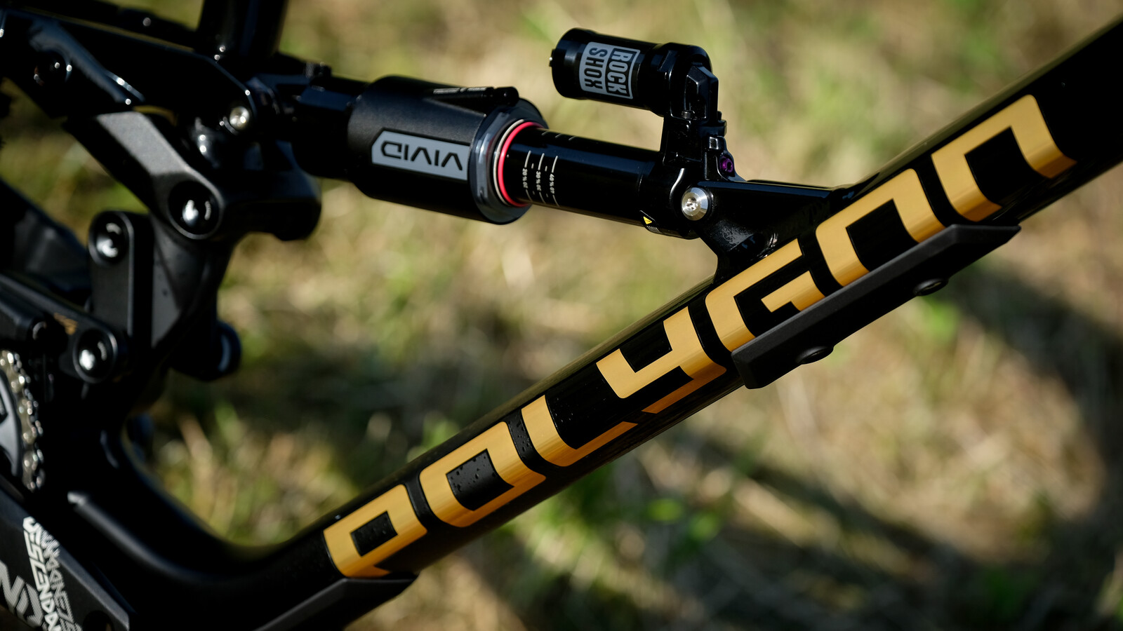 POLYGON Collosus DH7 Custom - NINI Adventure's Bike Check - Vital MTB