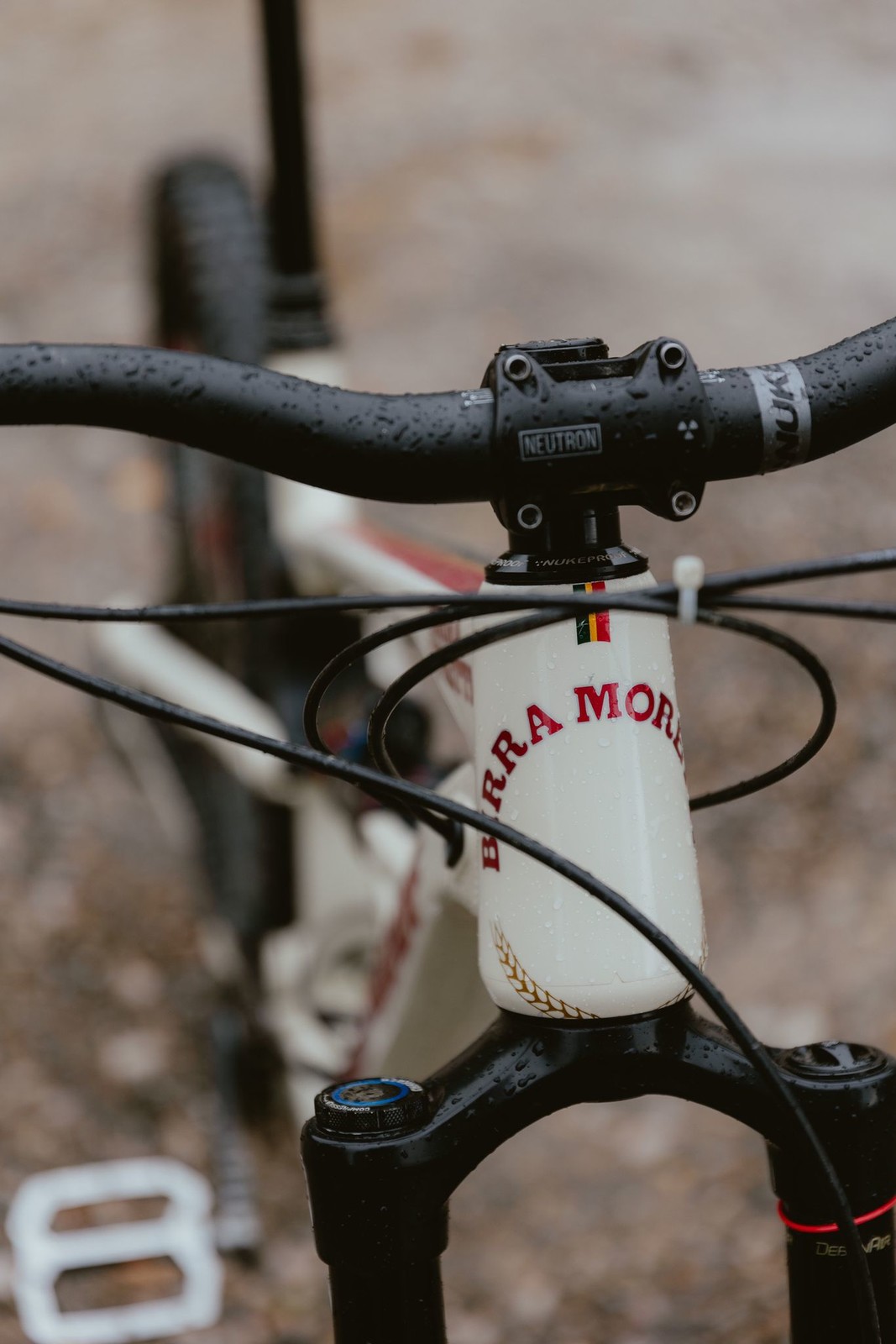 Birra Moretti Nukeproof Mega - biglickcustoms's Bike Check - Vital MTB