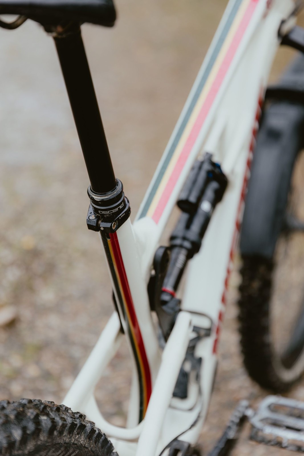 Birra Moretti Nukeproof Mega - biglickcustoms's Bike Check - Vital MTB