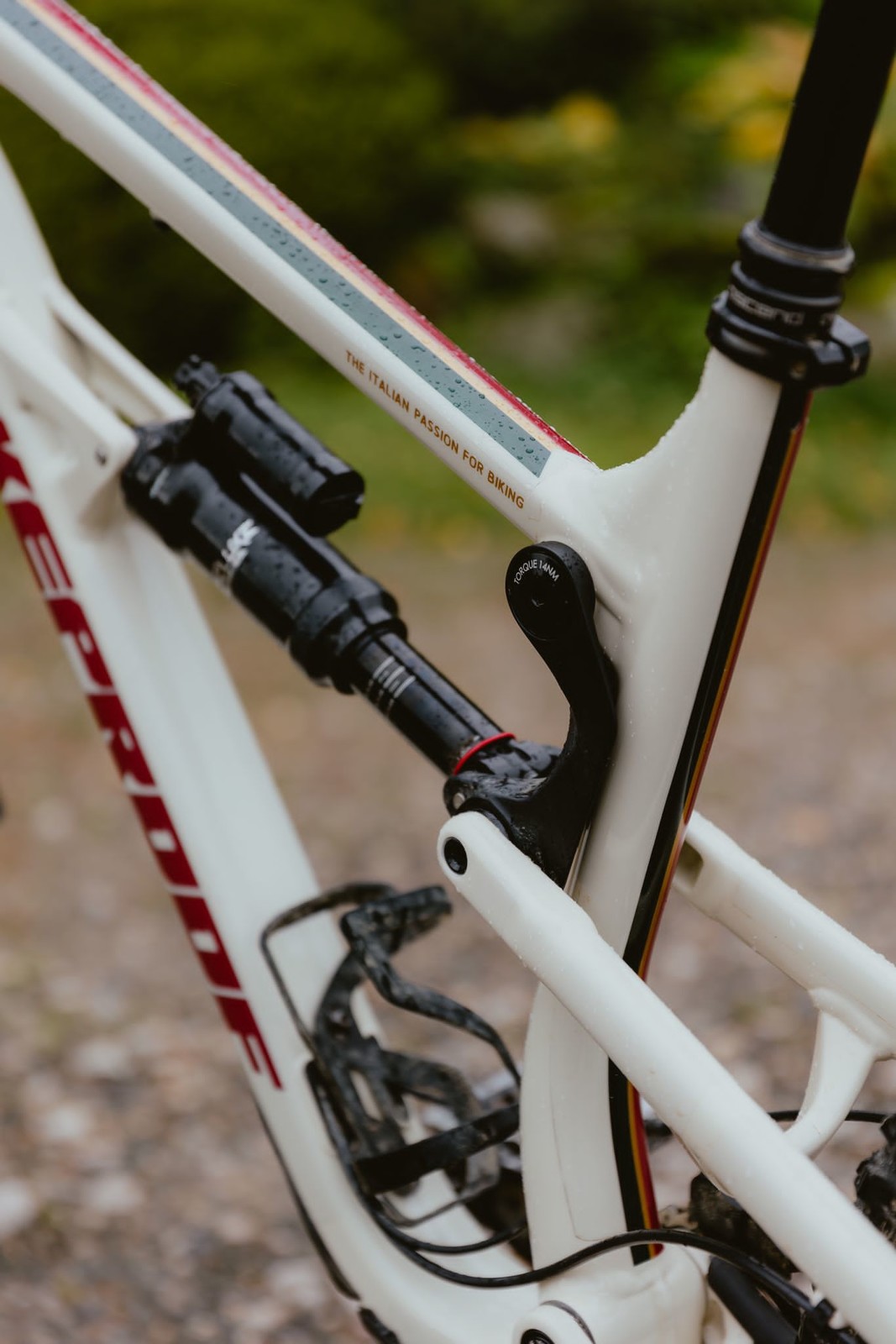 Birra Moretti Nukeproof Mega - biglickcustoms's Bike Check - Vital MTB