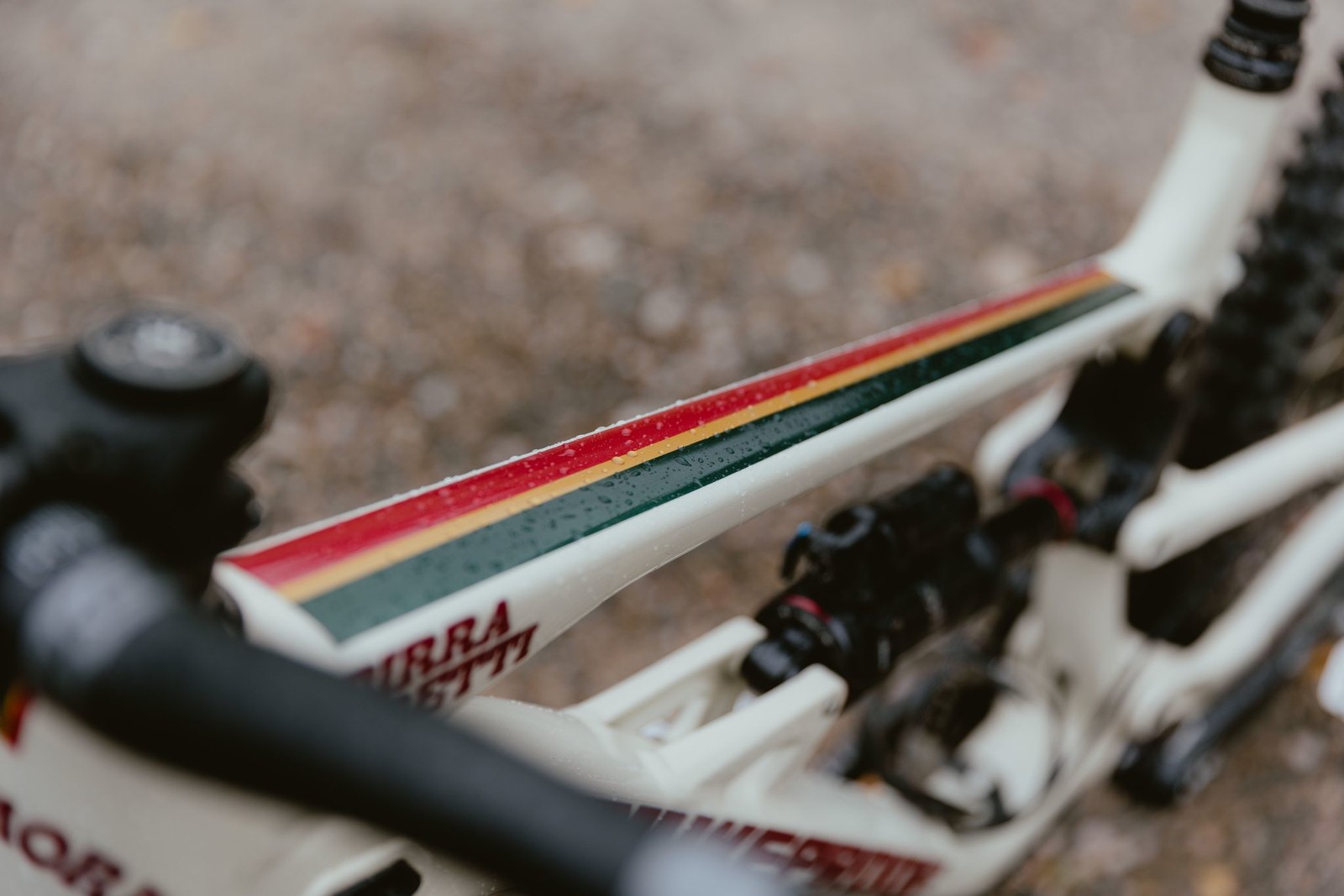Birra Moretti Nukeproof Mega - biglickcustoms's Bike Check - Vital MTB