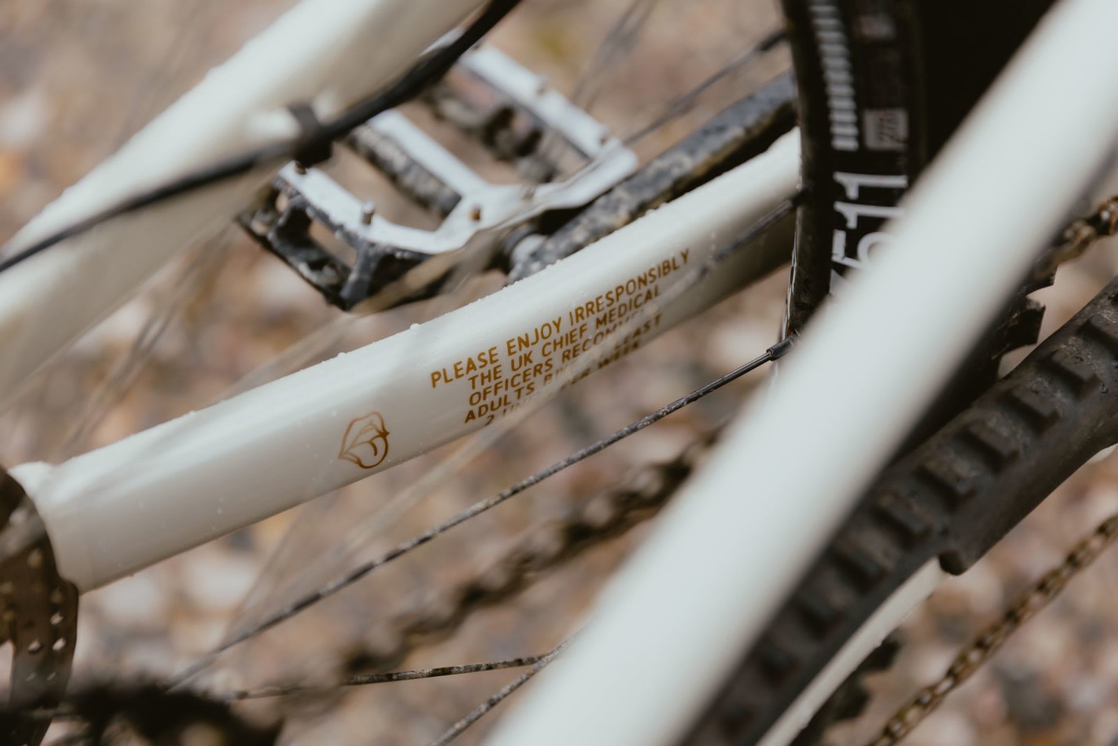 Birra Moretti Nukeproof Mega - biglickcustoms's Bike Check - Vital MTB