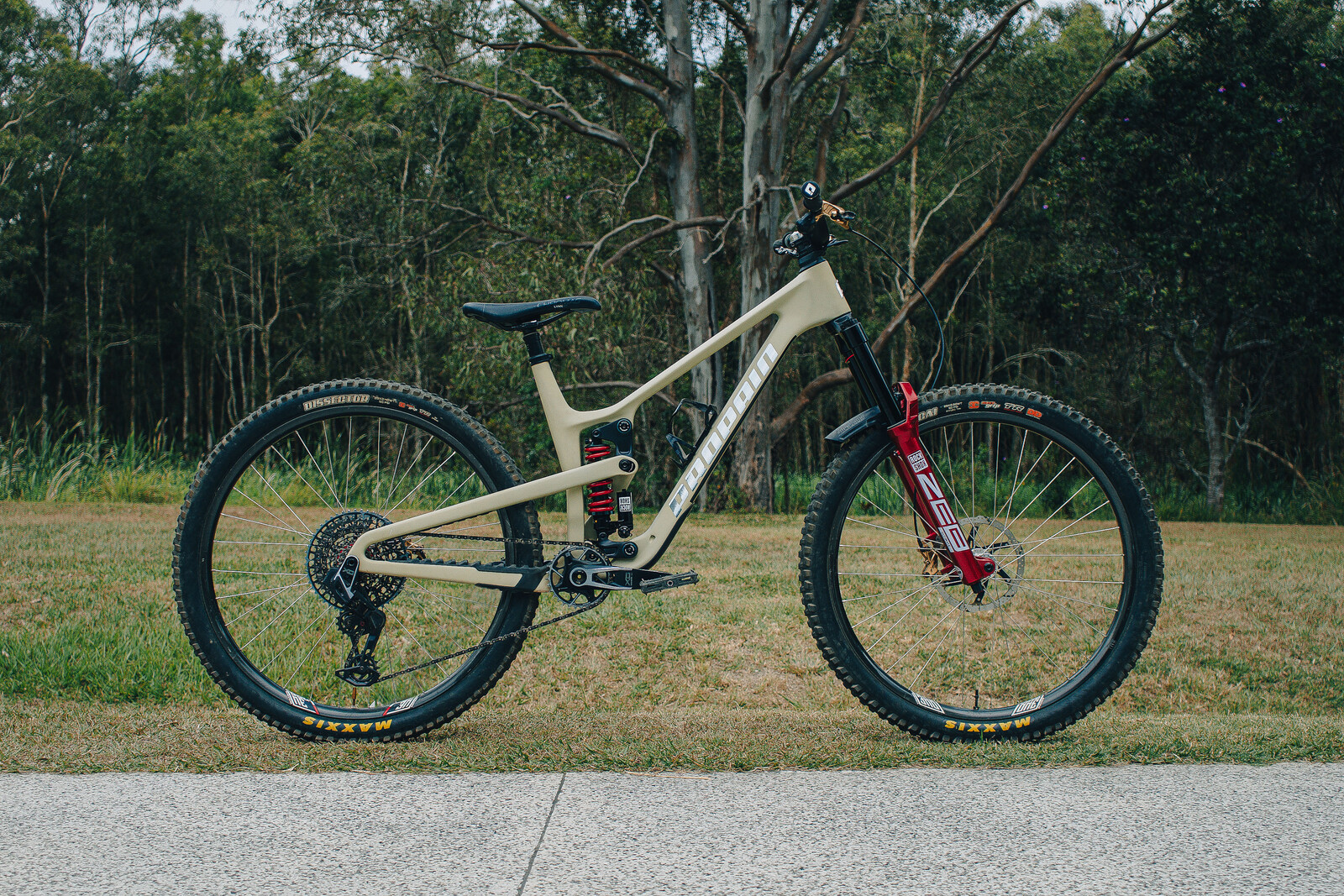 Propain Tyee 6 CF Custom - d.feather's Bike Check - Vital MTB