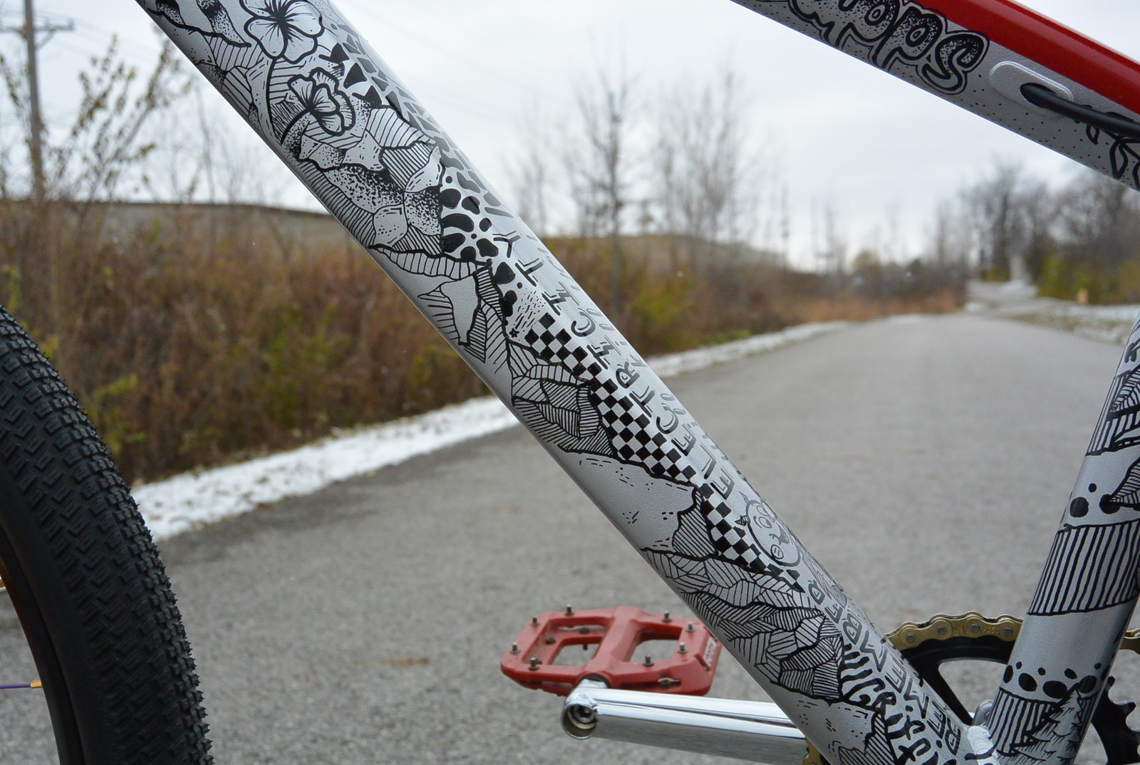 Custom Painted Airborne Skyhawk - Steeze Shop's Bike Check - Vital MTB