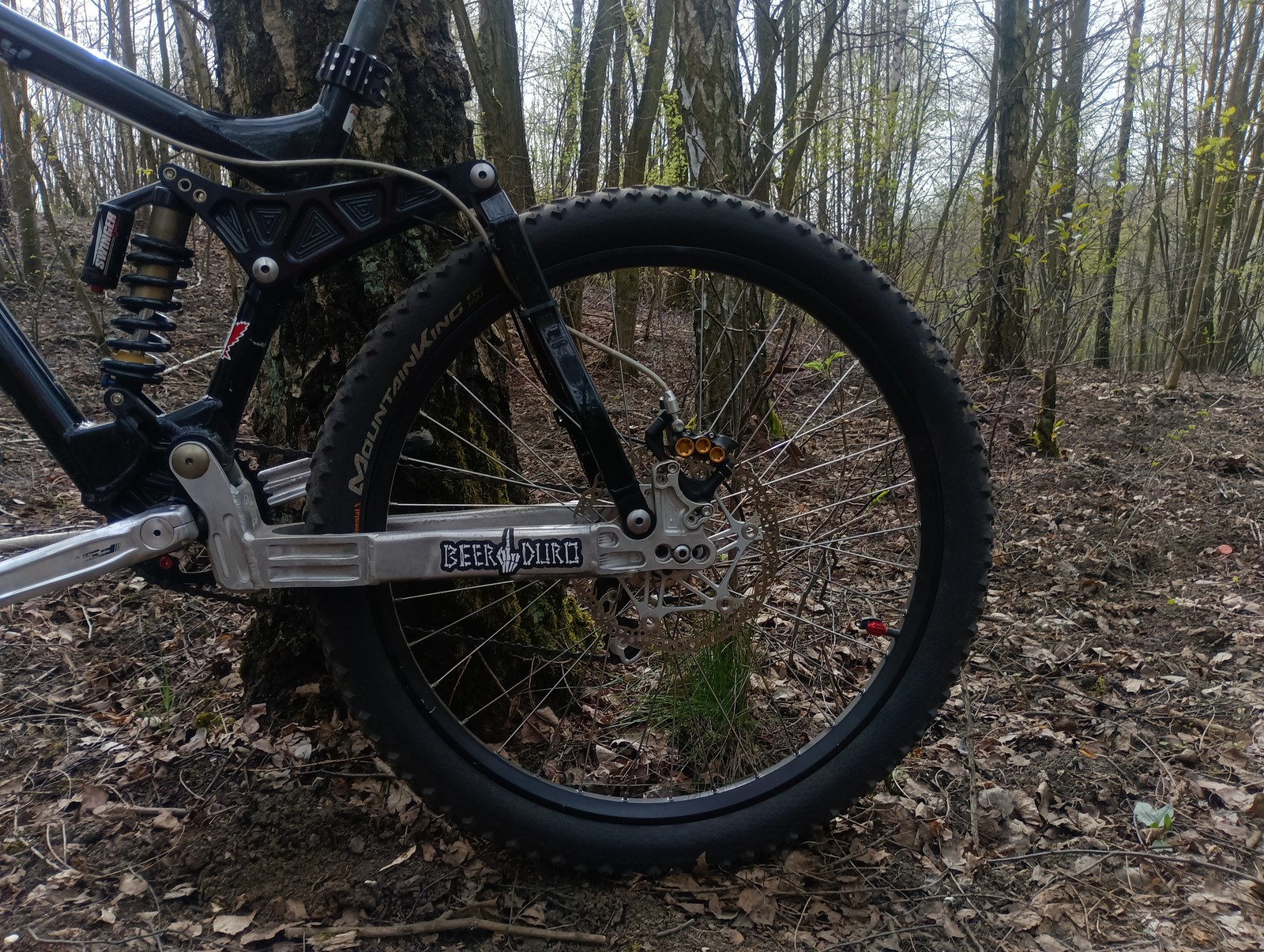 BANSHEE Scream V2 - oskiosa123's Bike Check - Vital MTB