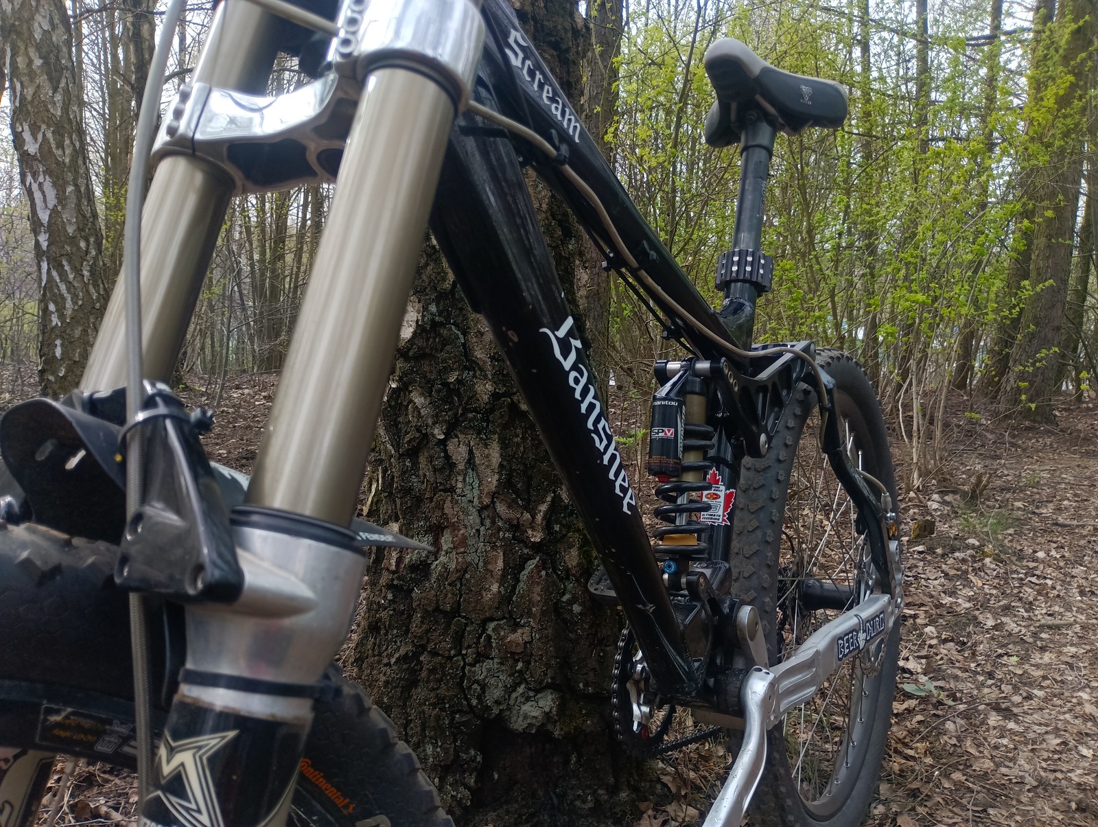 BANSHEE Scream V2 - oskiosa123's Bike Check - Vital MTB