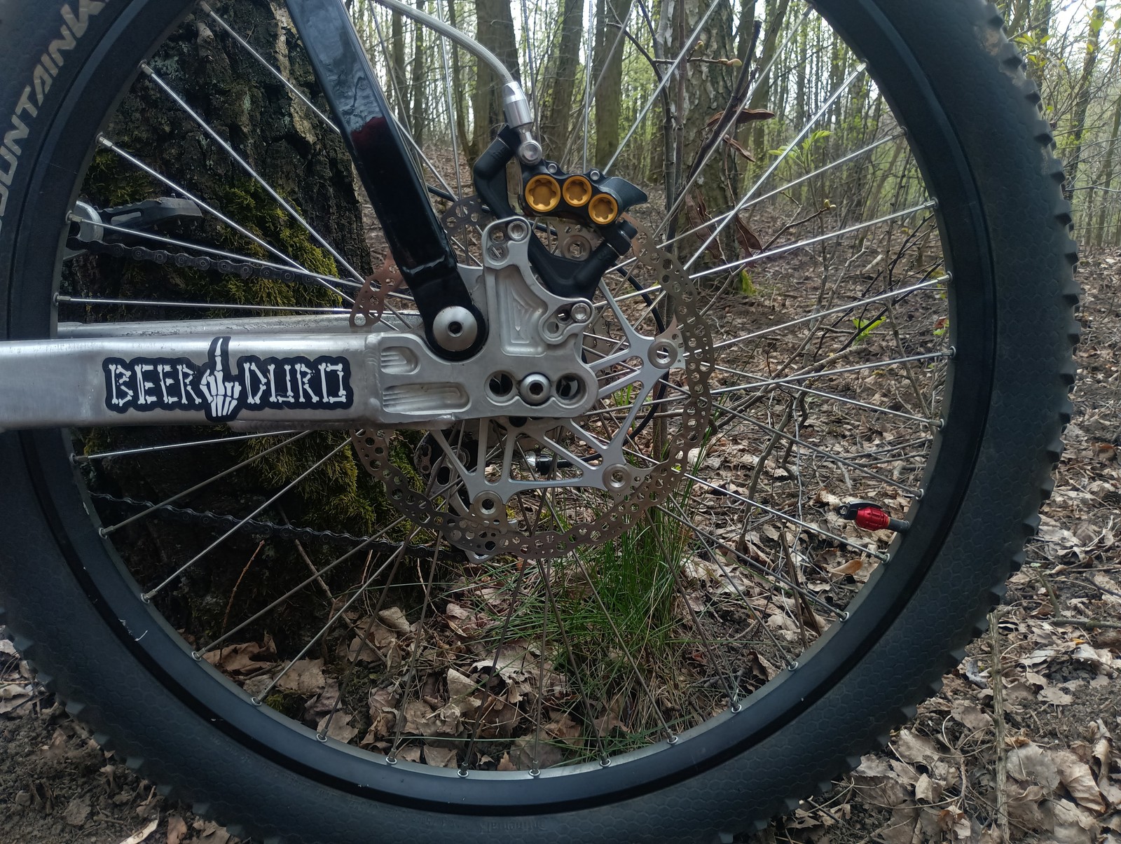 BANSHEE Scream V2 - oskiosa123's Bike Check - Vital MTB