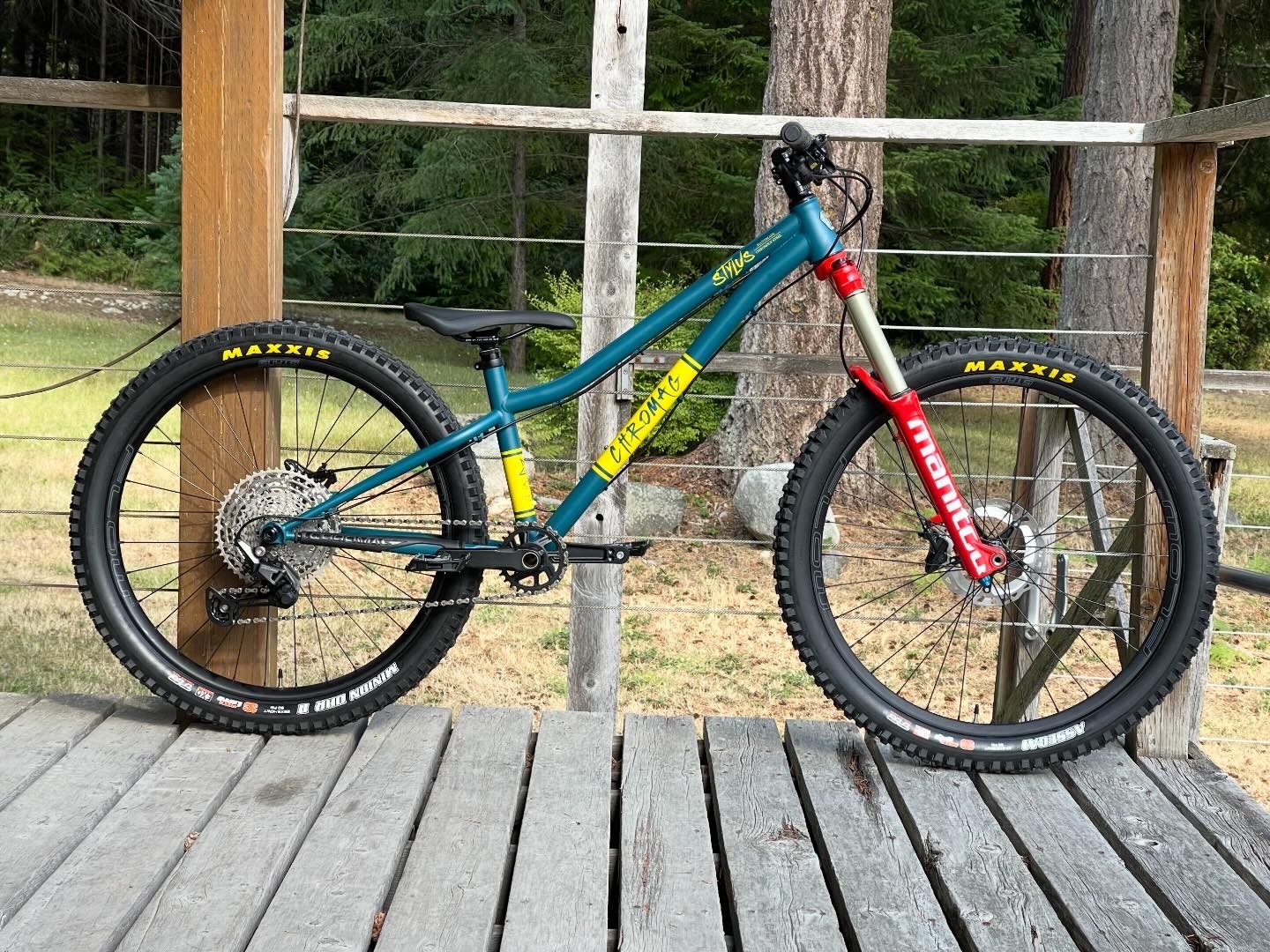 The Mini Mullet - HaamStacks's Bike Check - Vital MTB