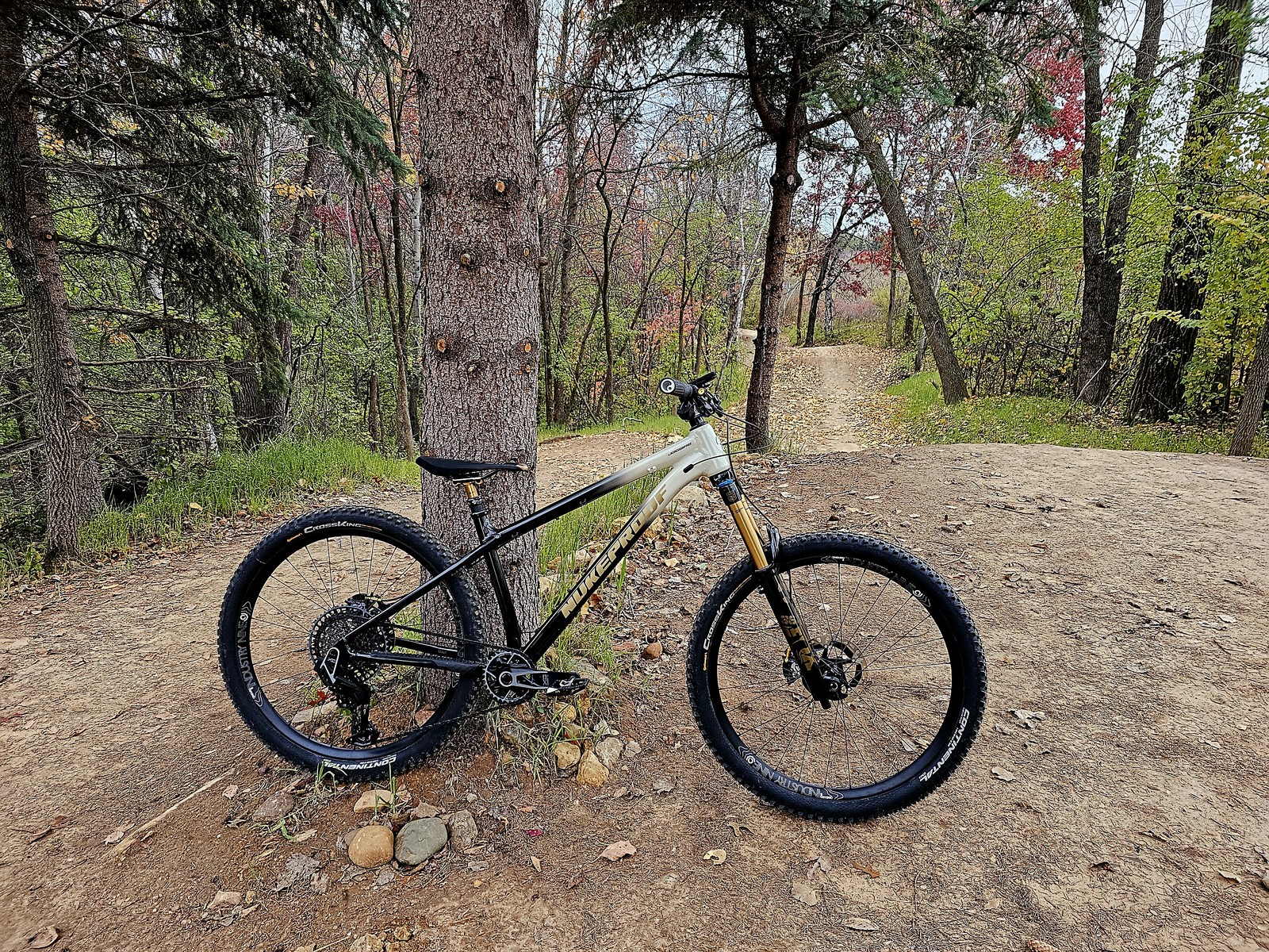 Stout Scout Build - danjohnson's Bike Check - Vital MTB
