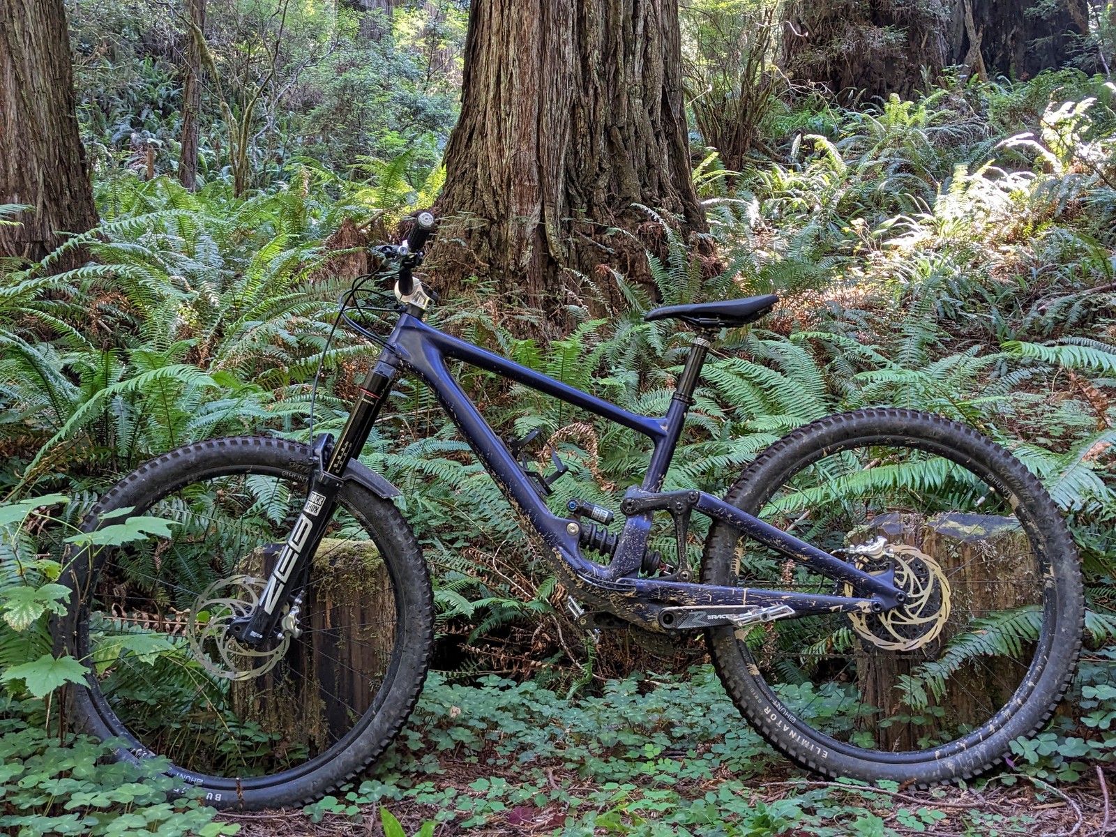 Specialized Enduro custom build (Blübs) - KooktheWolf's Bike Check ...