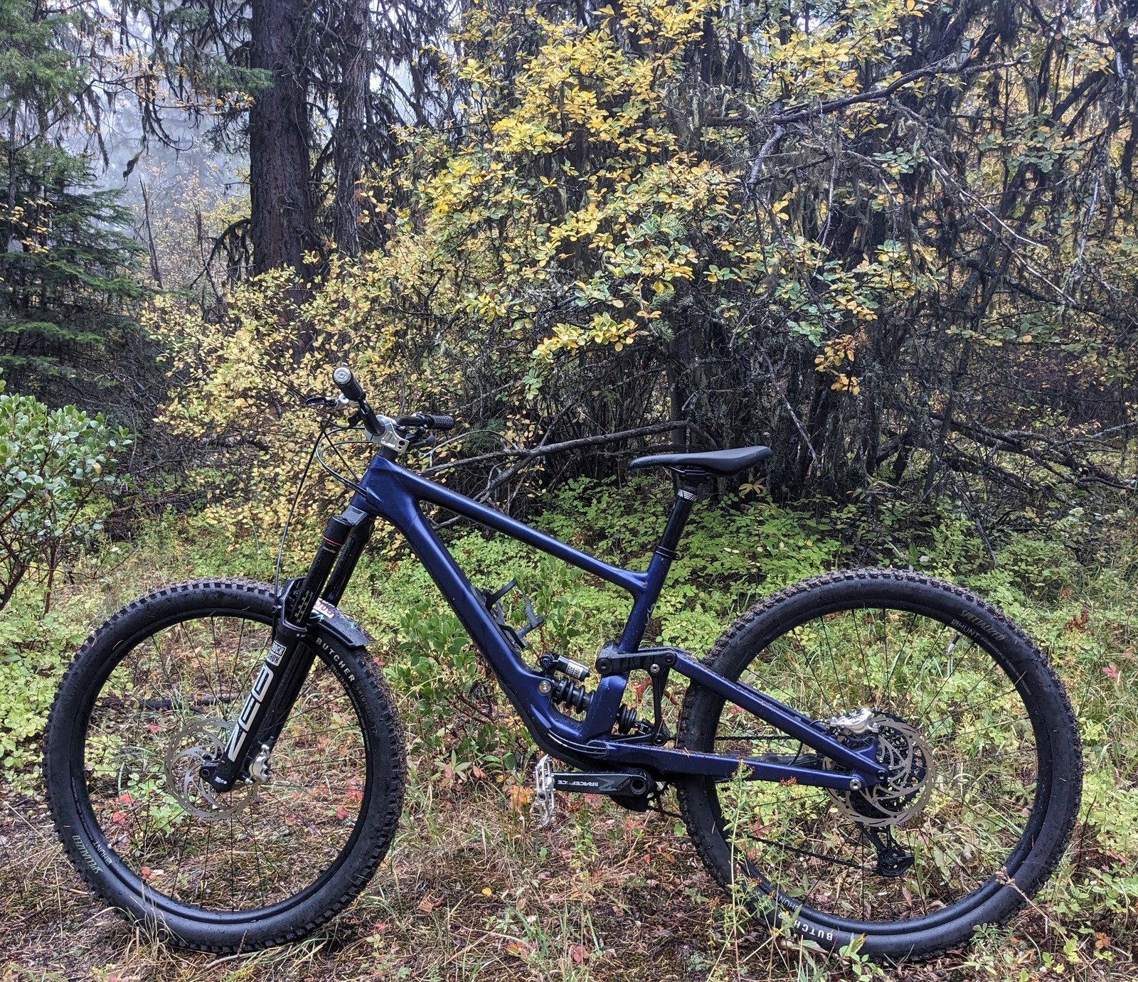 Specialized Enduro custom build (Blübs) - KooktheWolf's Bike Check ...