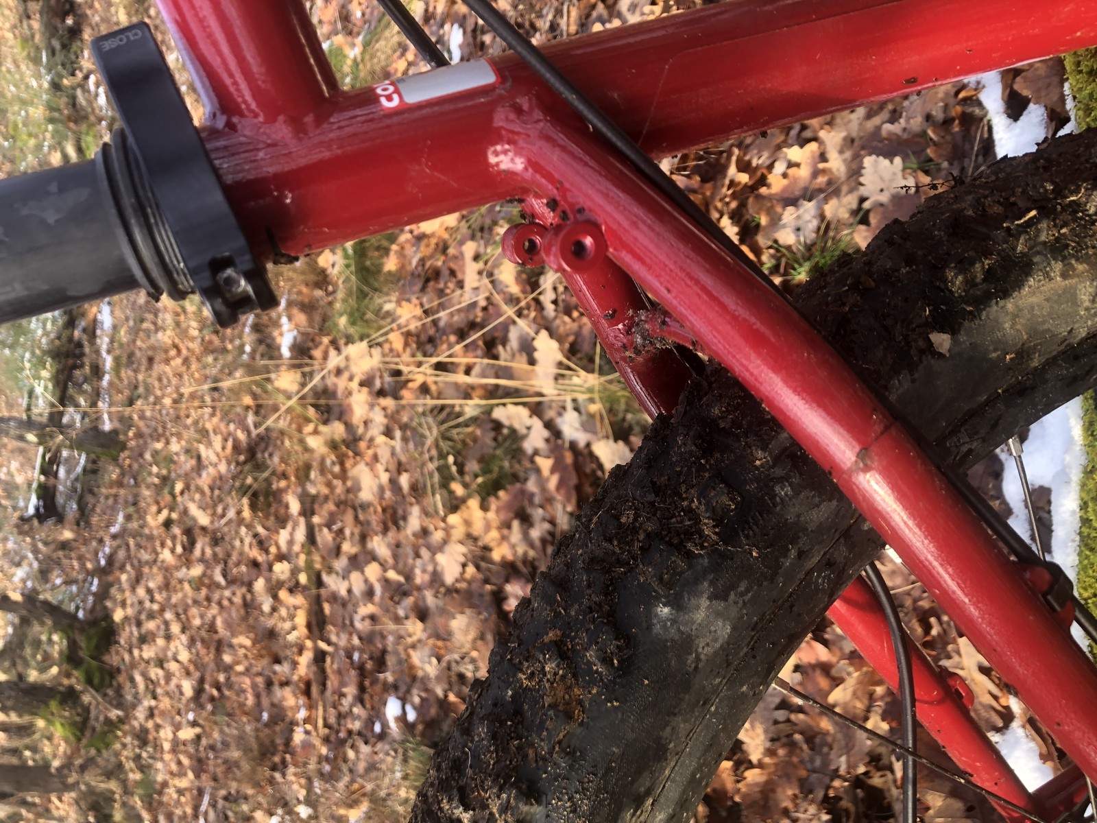 El Tatoun hardtail - Jipinwoods's Bike Check - Vital MTB